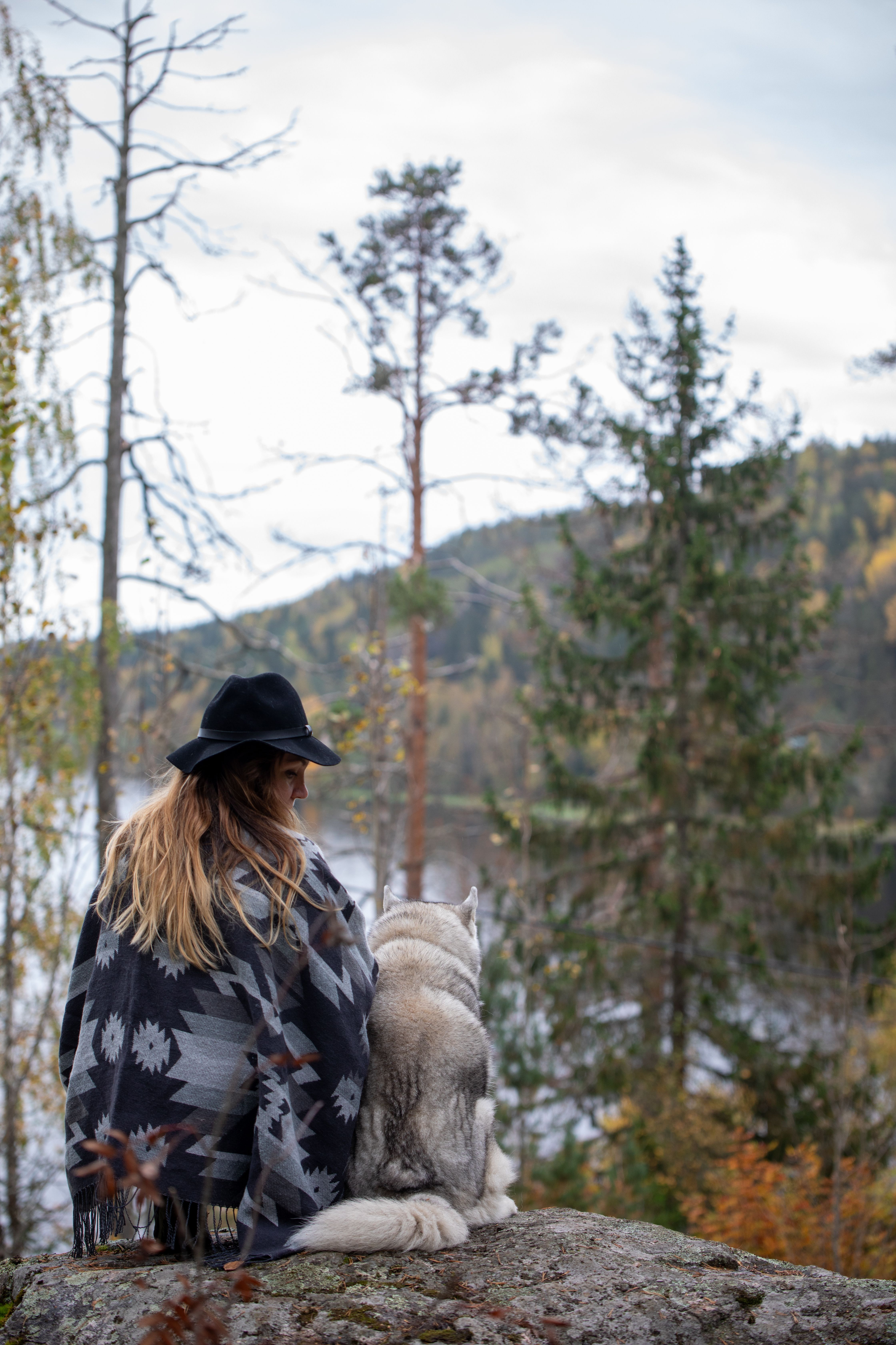 Dog Explorer Photos, Download The BEST Free Dog Explorer Stock Photos ...