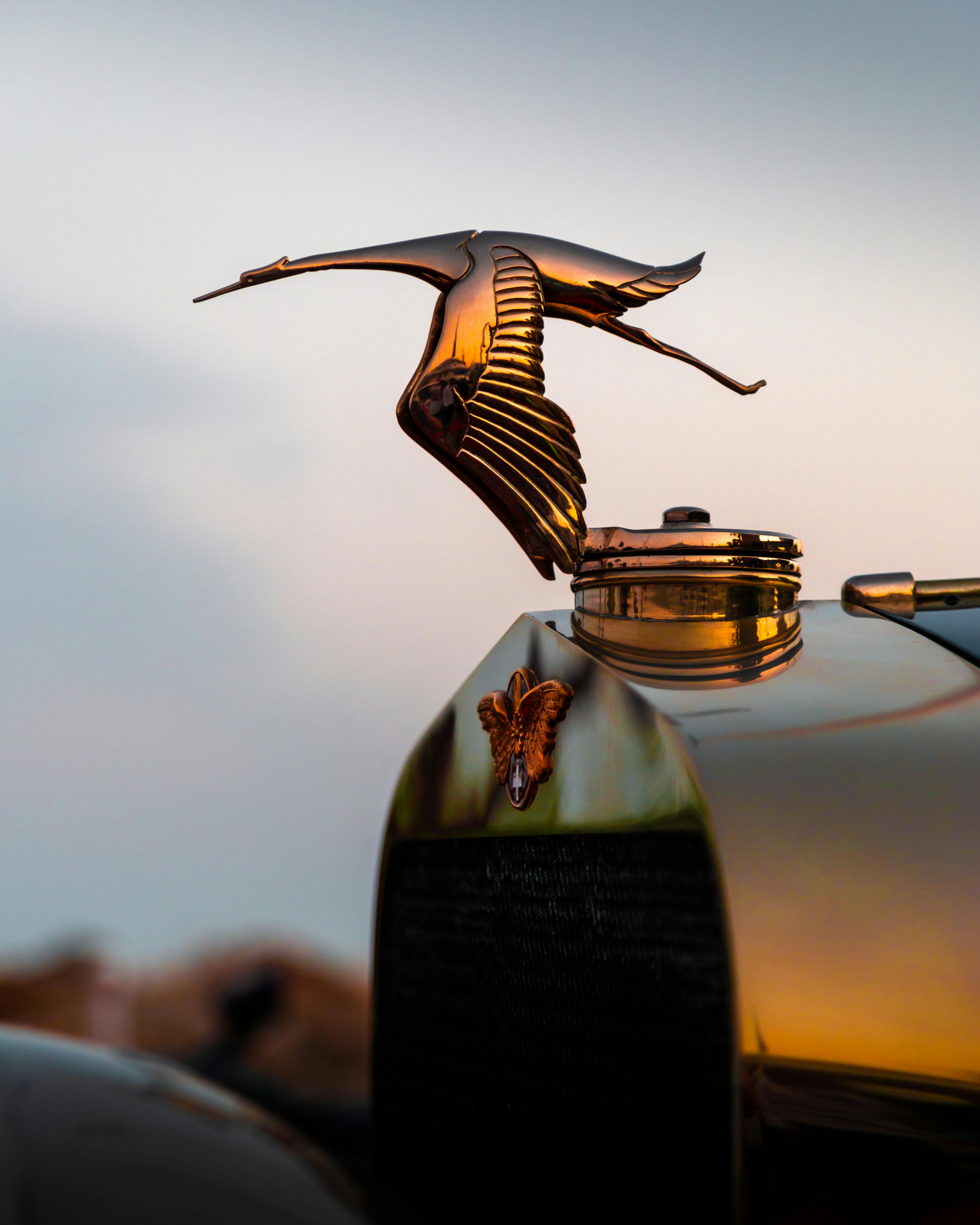 Quentin Martinez - Fotografía