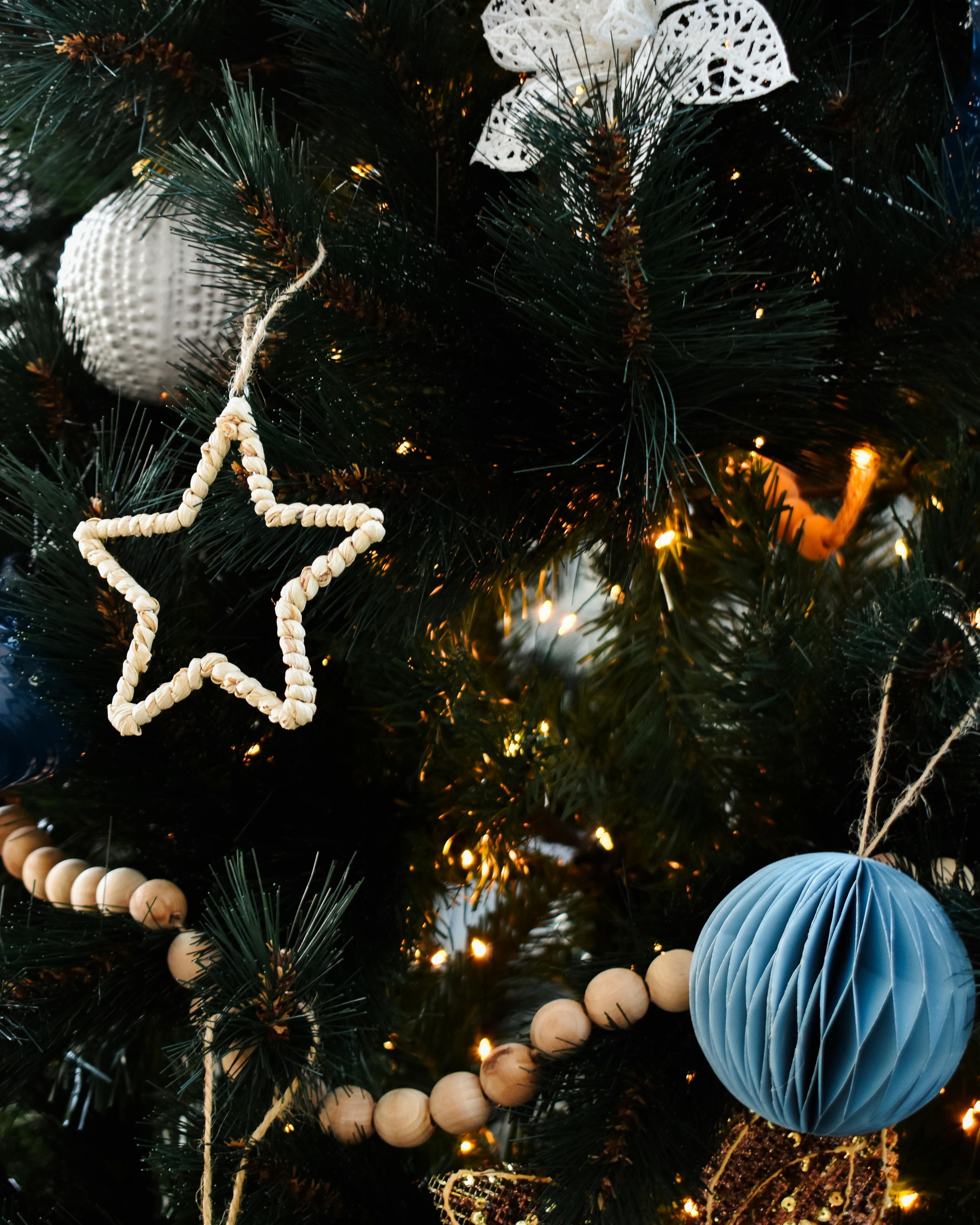 Ghdfgh+Imagery Photos, Download The BEST Free Ghdfgh+Imagery Stock ...