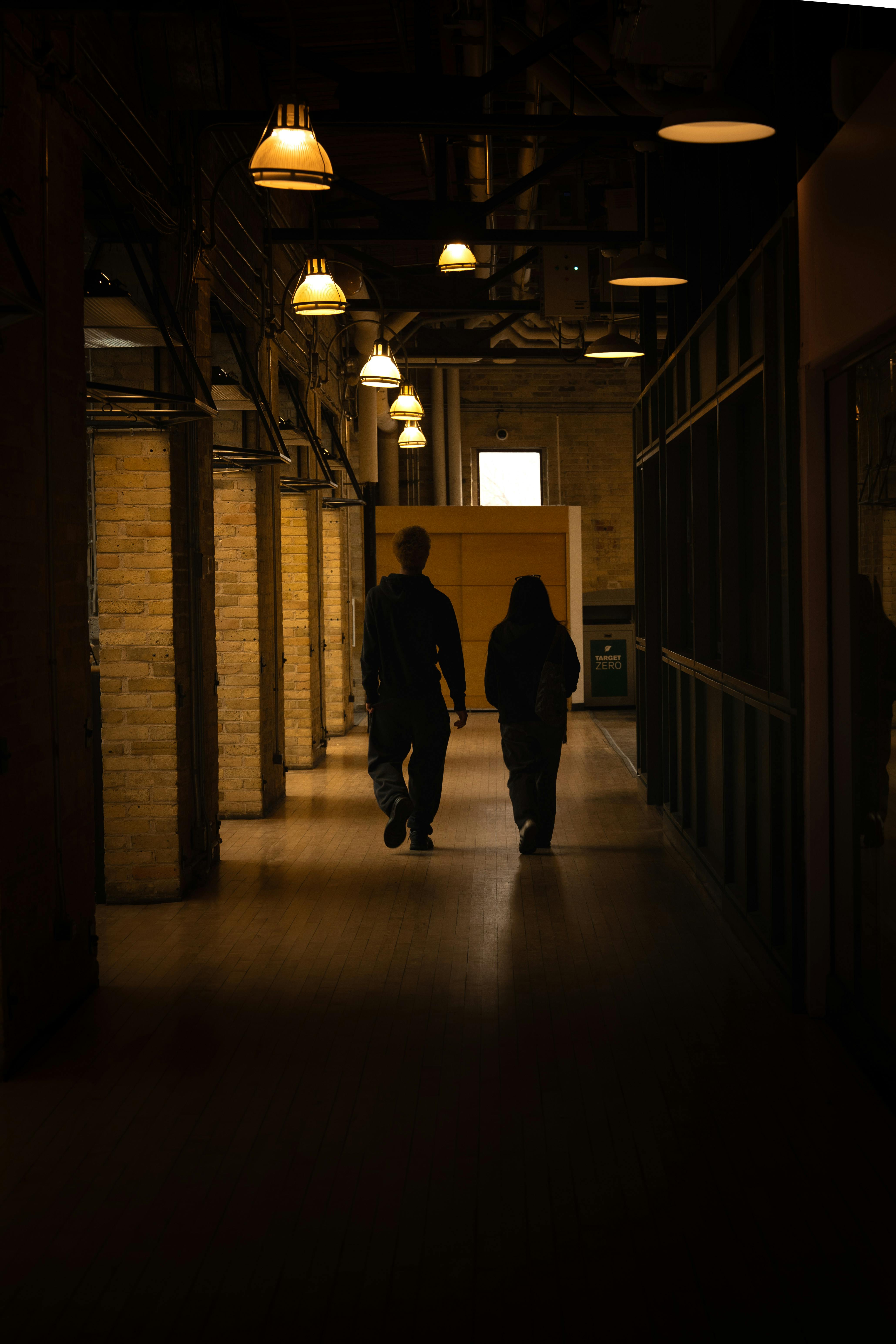 Patch Of Light Photos, Download The BEST Free Patch Of Light Stock ...