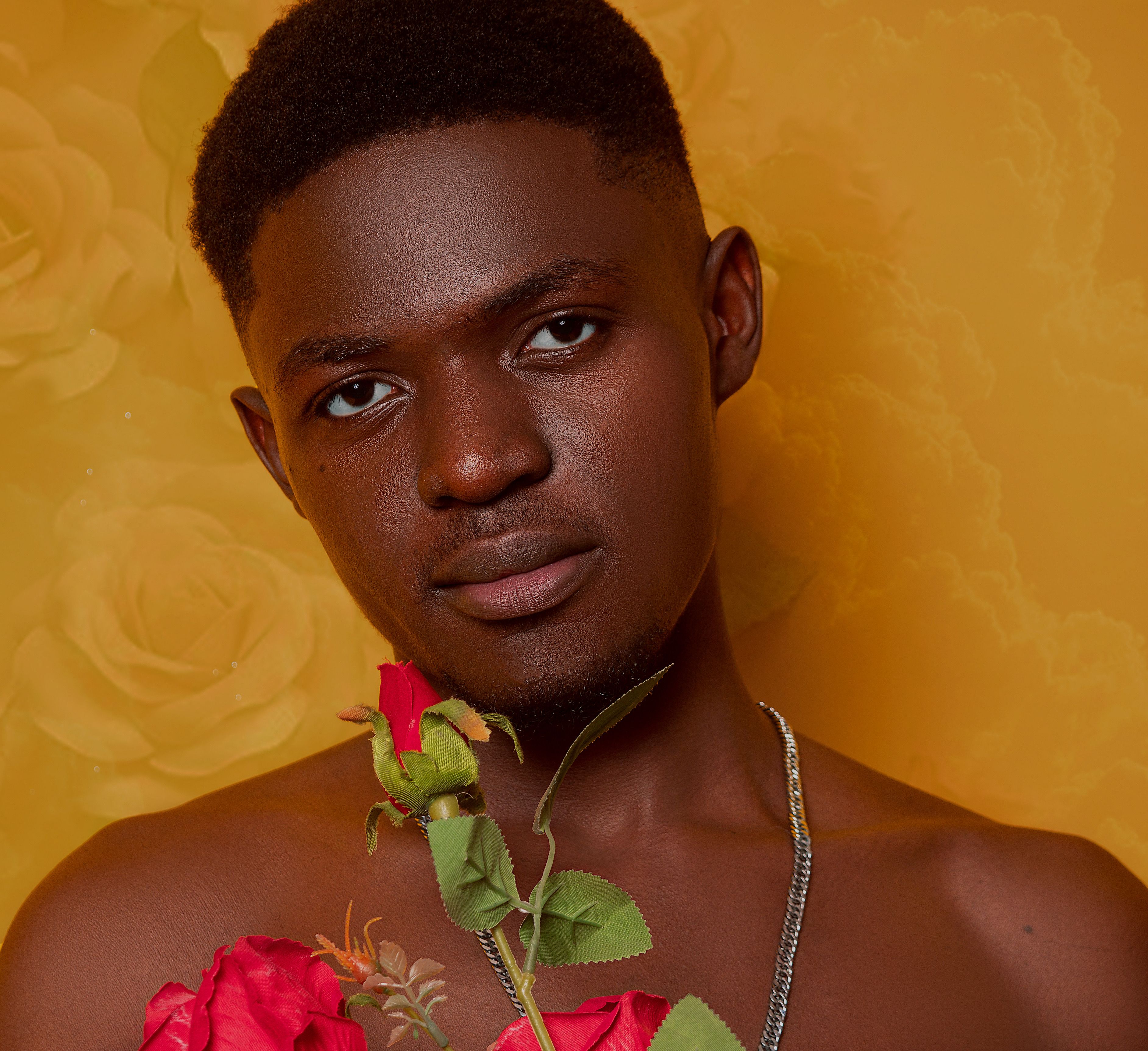 Portrait of a Man with Red Roses on Yellow Background · Free Stock Photo