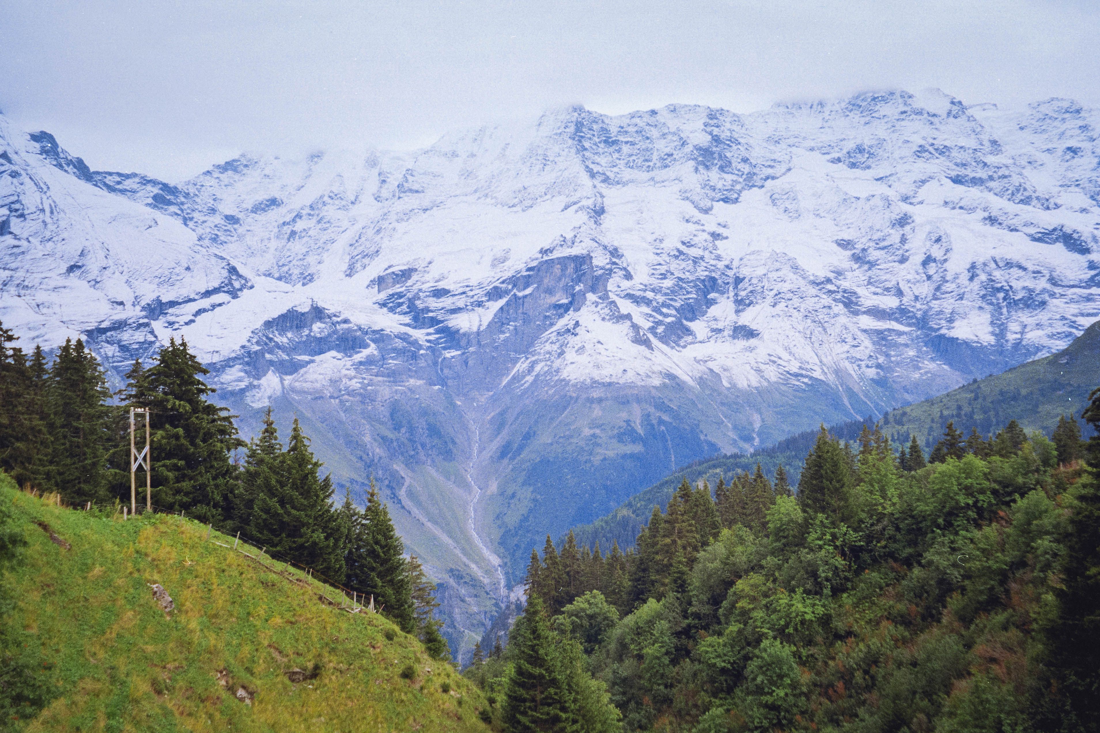 Snow-Capped Mountains in Lush Green Valley · Free Stock Photo