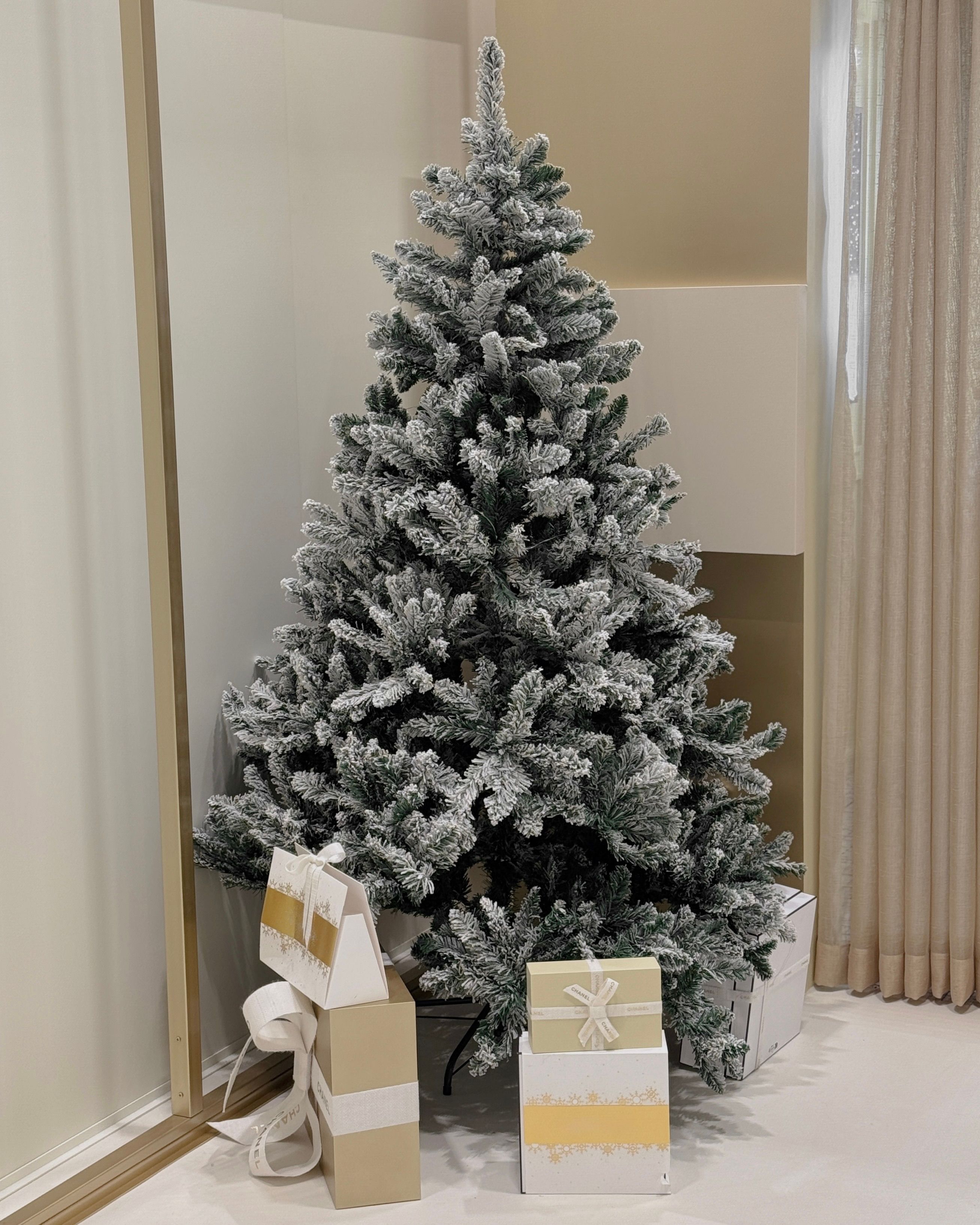 Boxed Christmas Tree Photos, Download The BEST Free Boxed Christmas ...