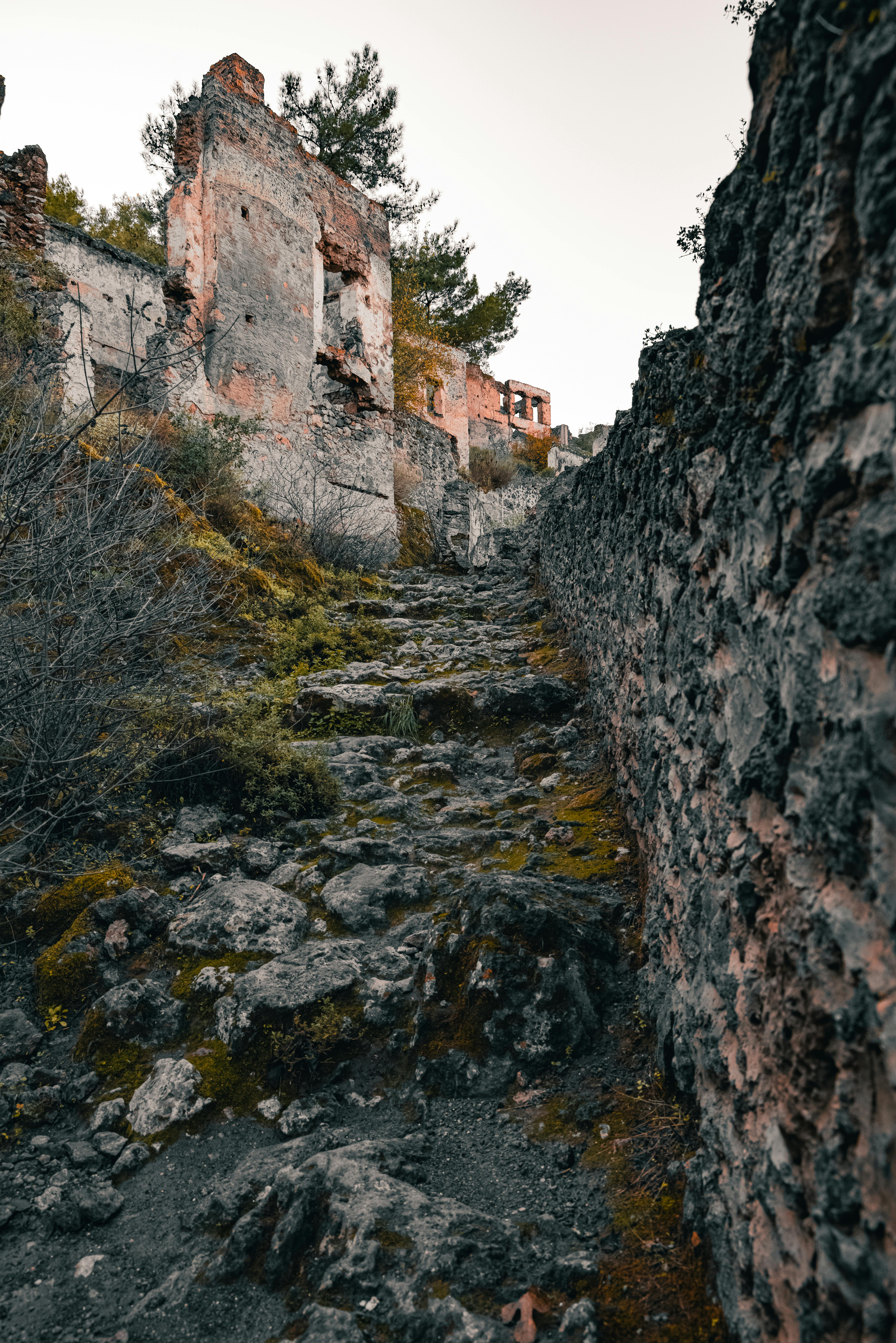 Atmospheric Abandoned Village Pathway in Autumn · Free Stock Photo