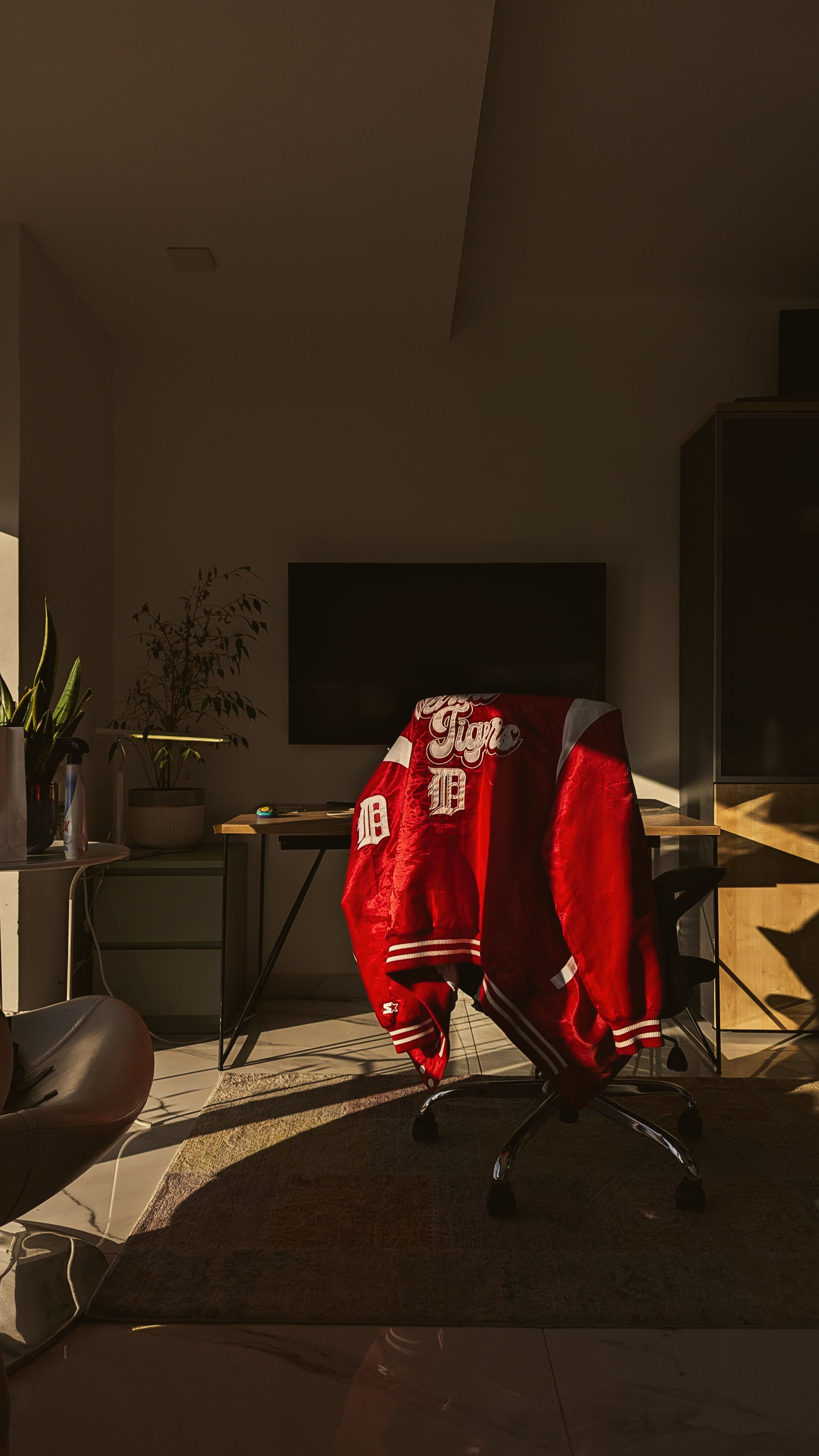 Bright Red Jacket on Office Chair in Sunlit Room · Free Stock Photo