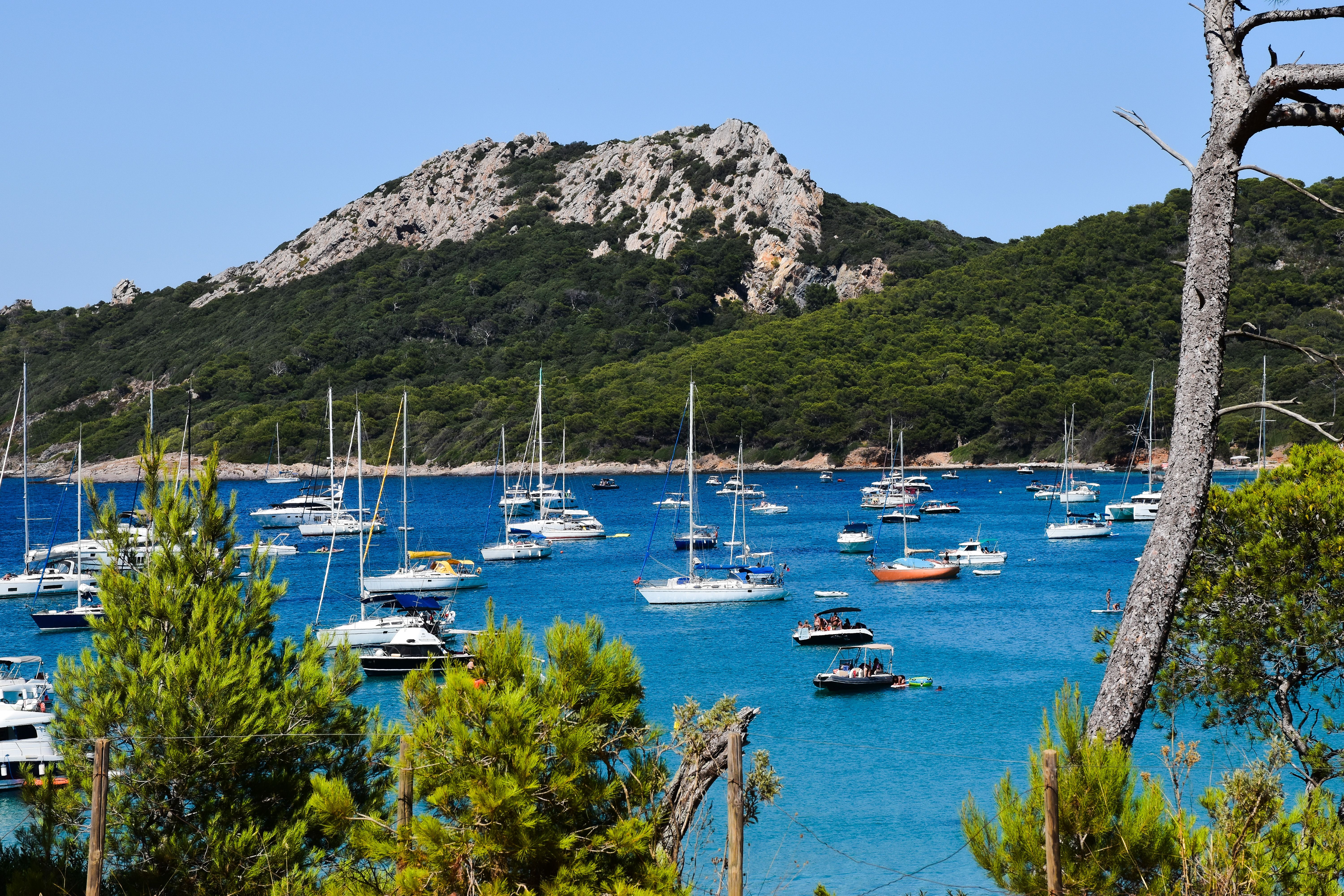 Scenic View of Boats in Calanque Bay, France · Free Stock Photo