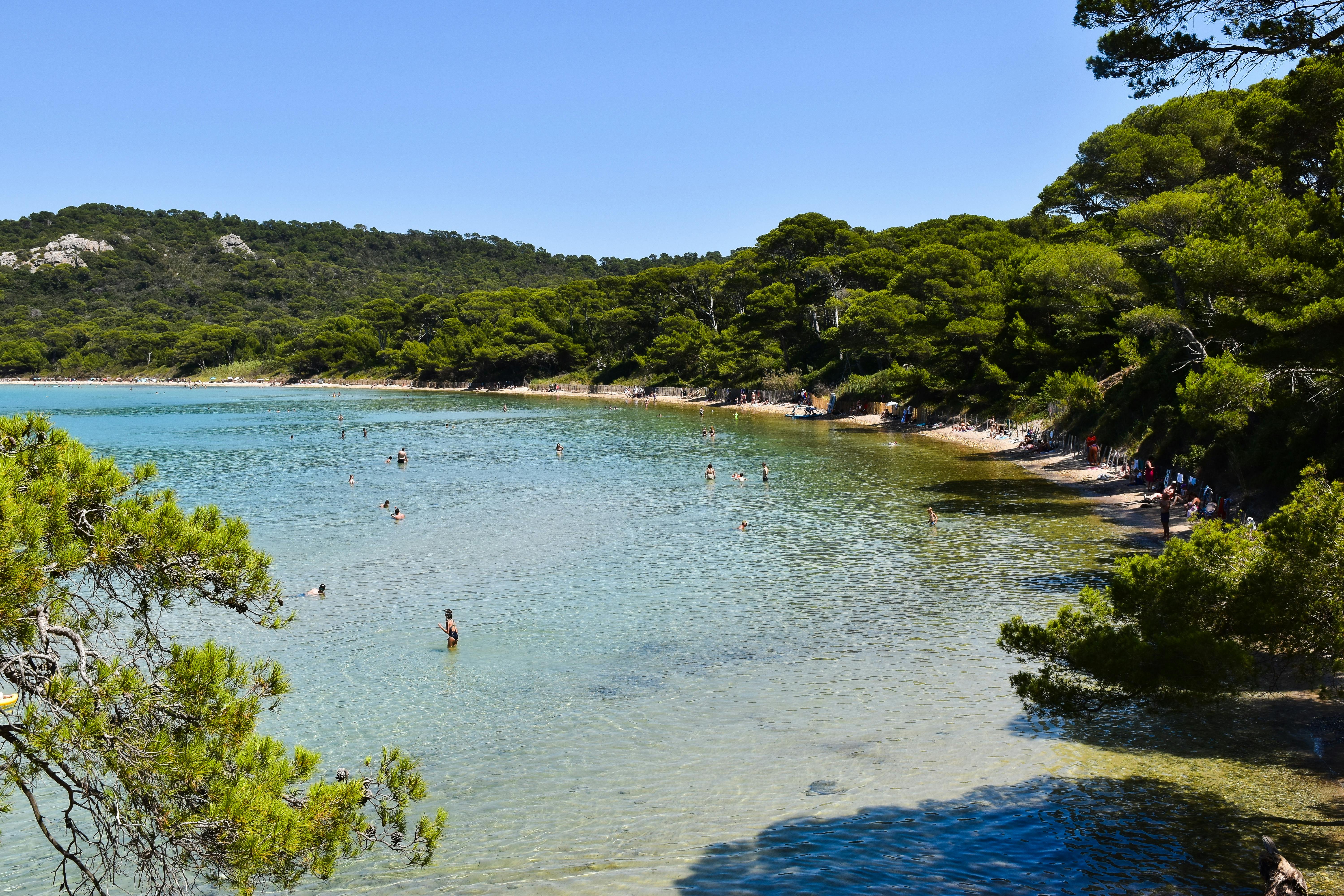 Stunning Beach on Porquerolles Island, France · Free Stock Photo