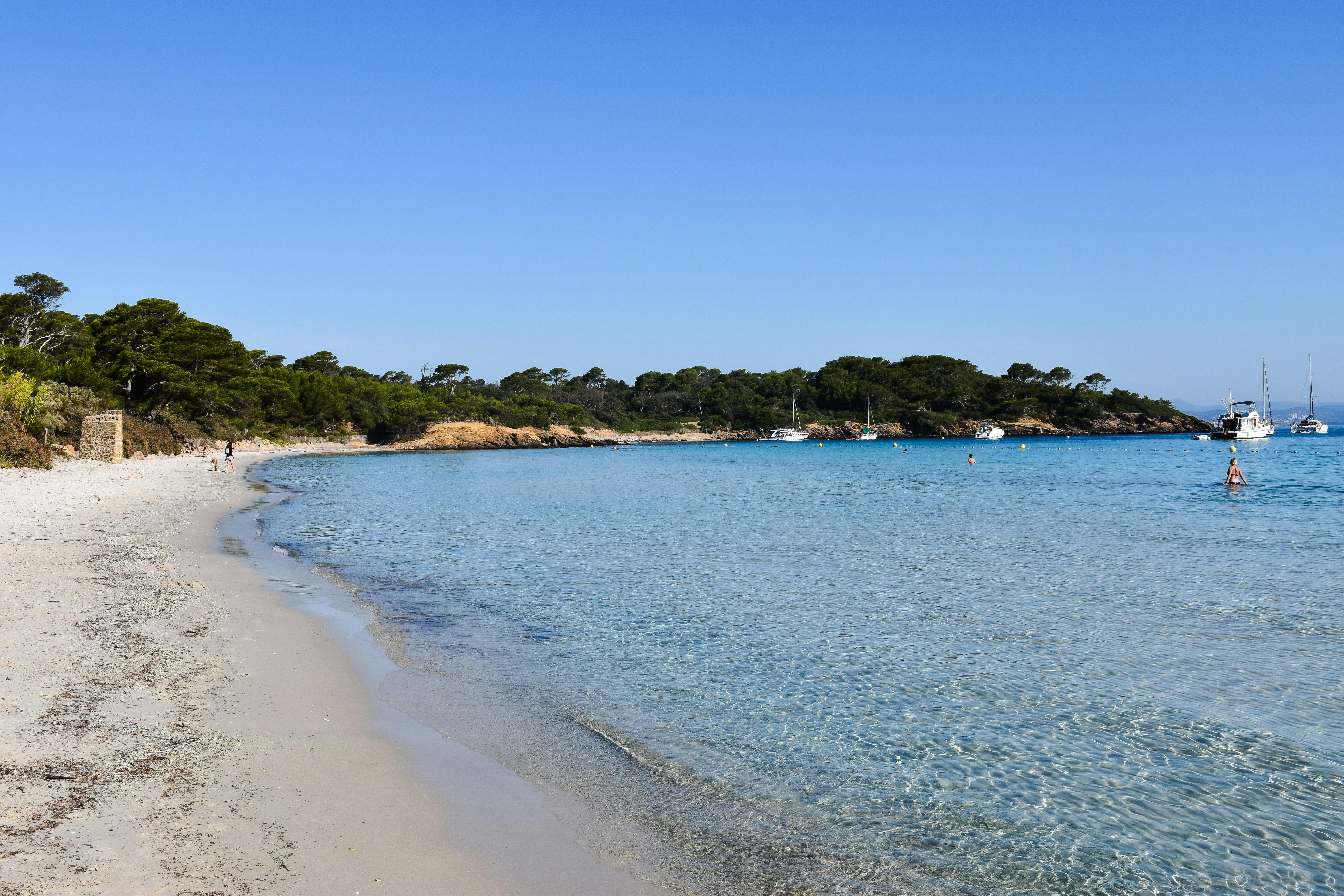 Scenic Beach View on Porquerolles Island · Free Stock Photo