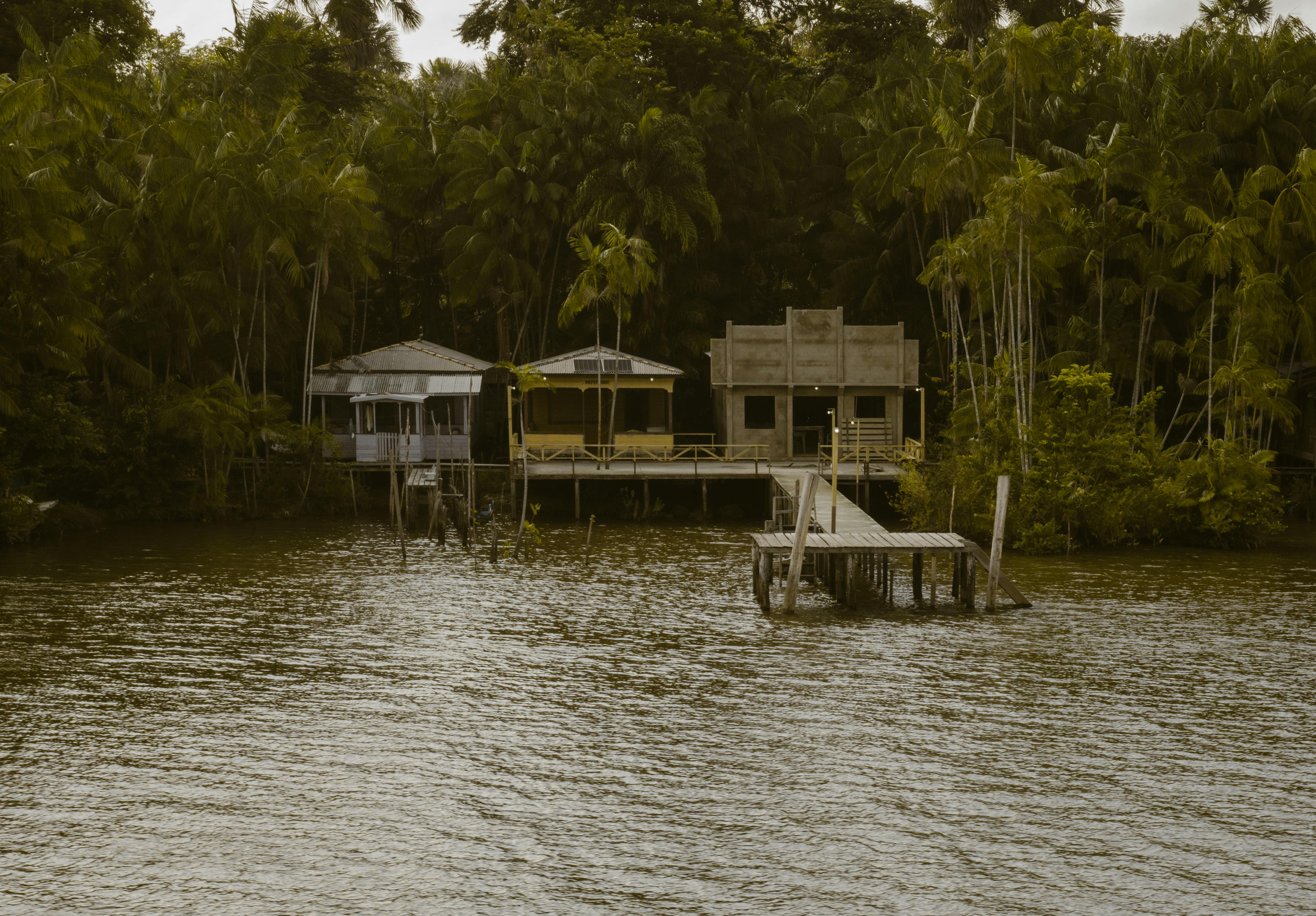 Tranquil Riverside Village in Pará, Brazil · Free Stock Photo