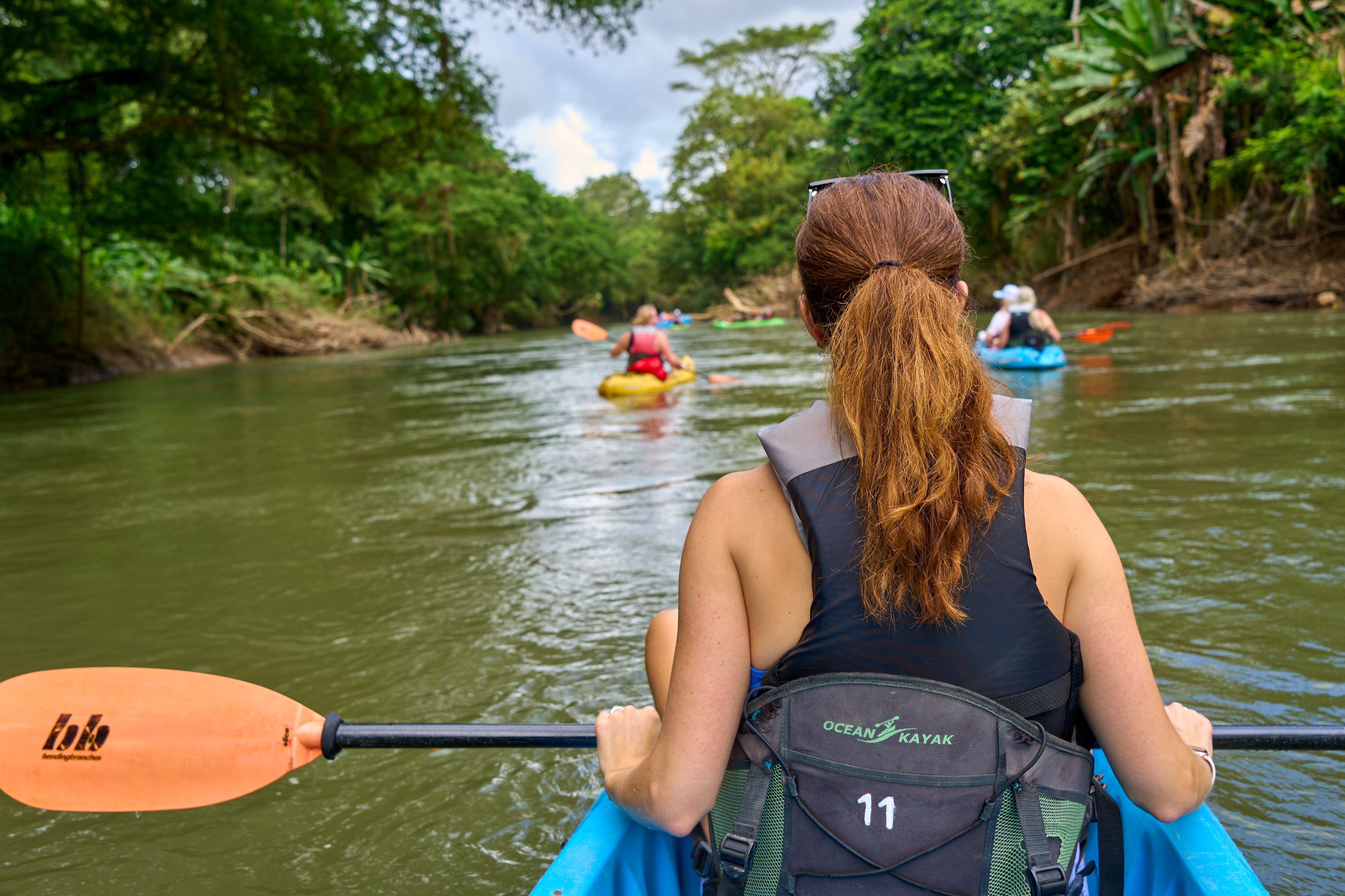 Kayaking Adventure Through Lush River · Free Stock Photo