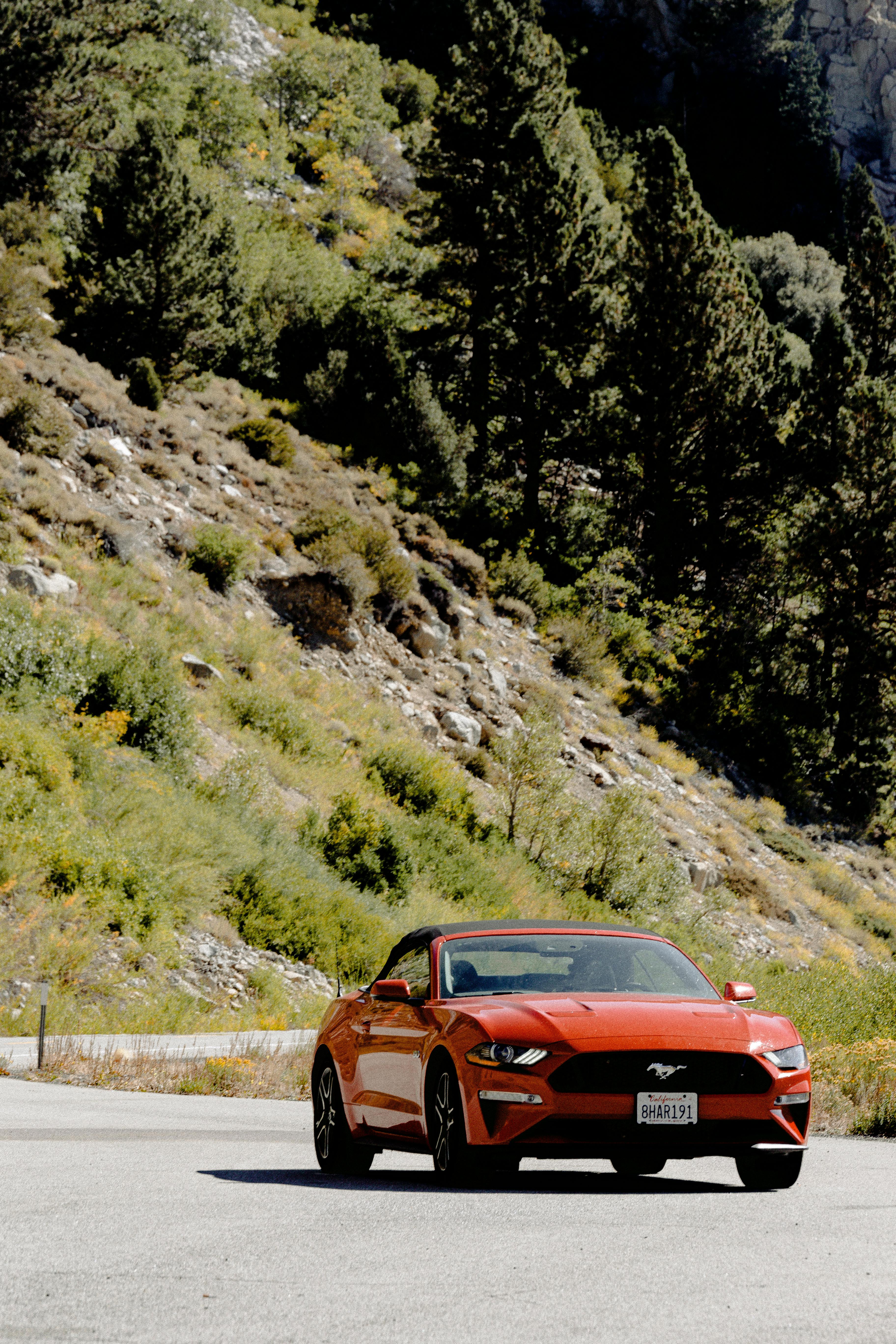 Red Ford Mustang · Free Stock Photo