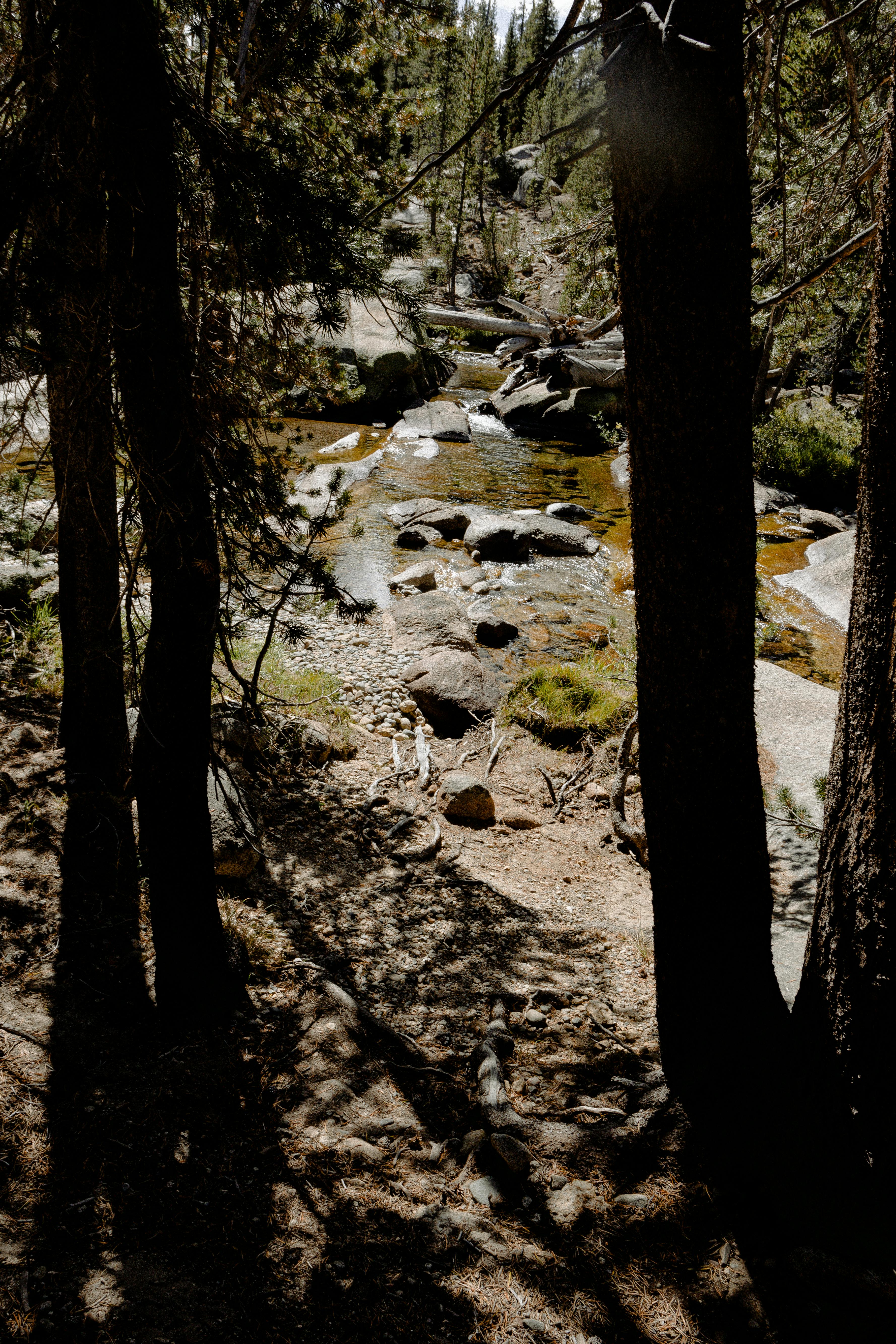 River And Trees · Free Stock Photo