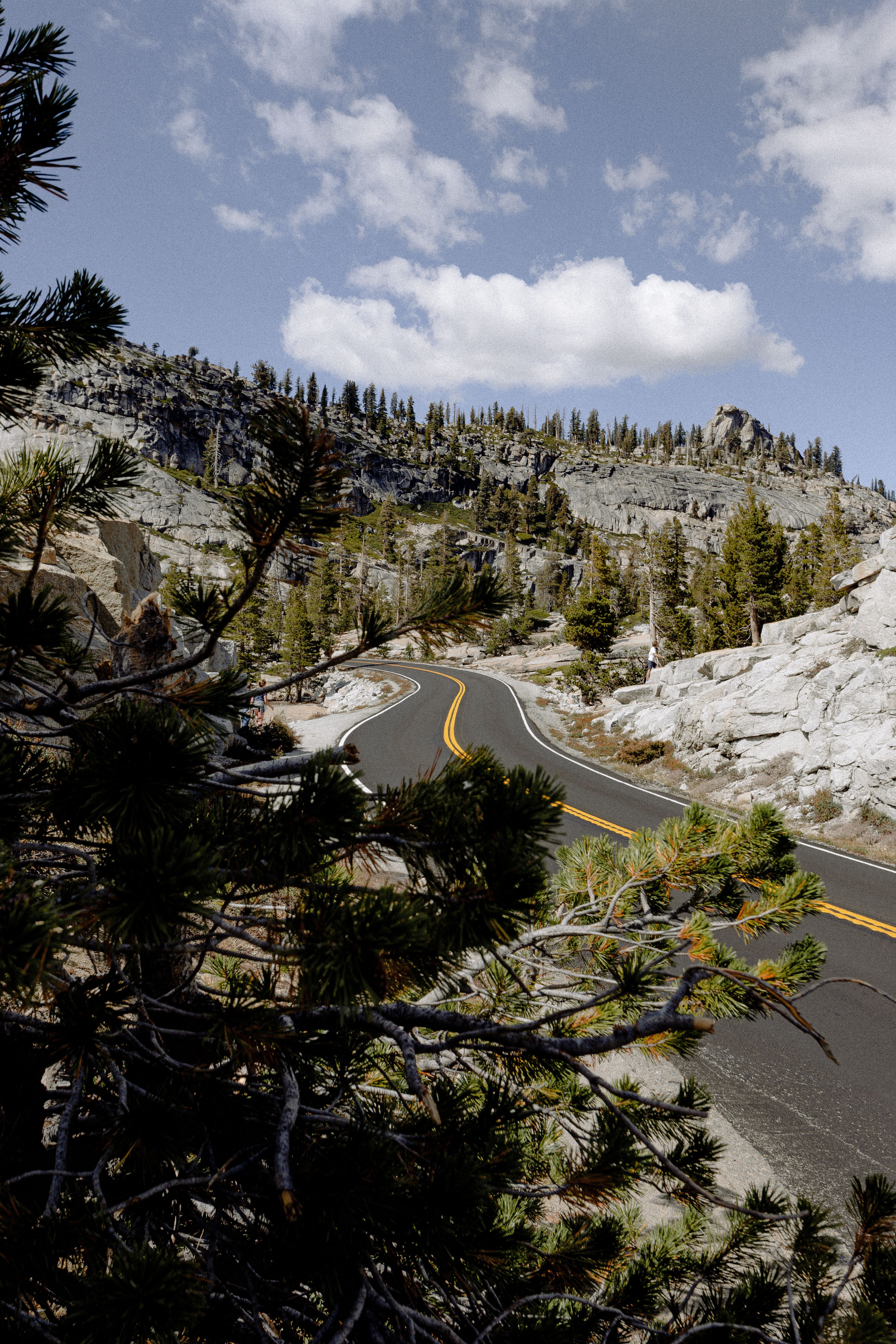 Road Near Trees · Free Stock Photo