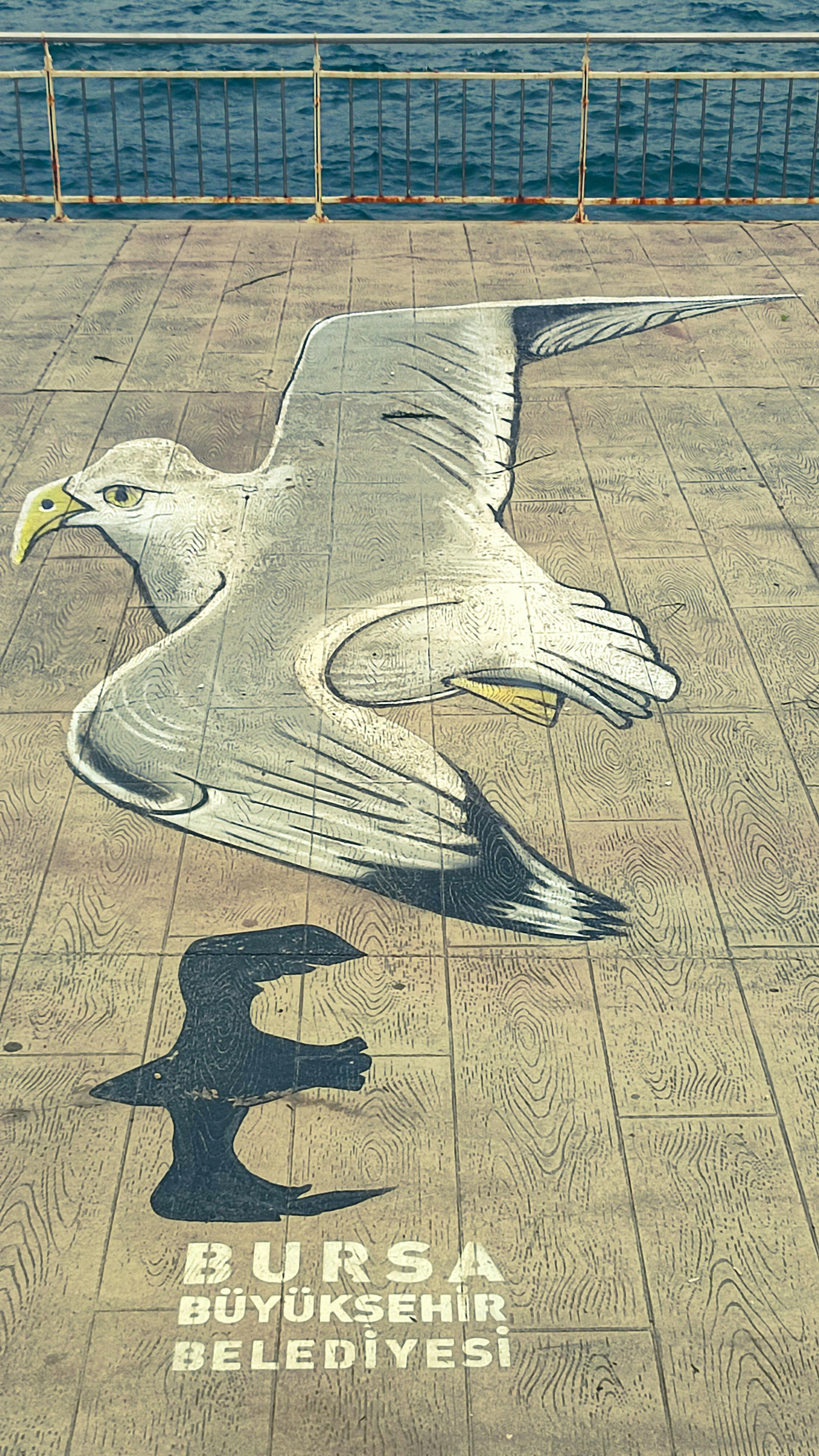 Seagull Mural on Mudanya Seafront in Bursa · Free Stock Photo