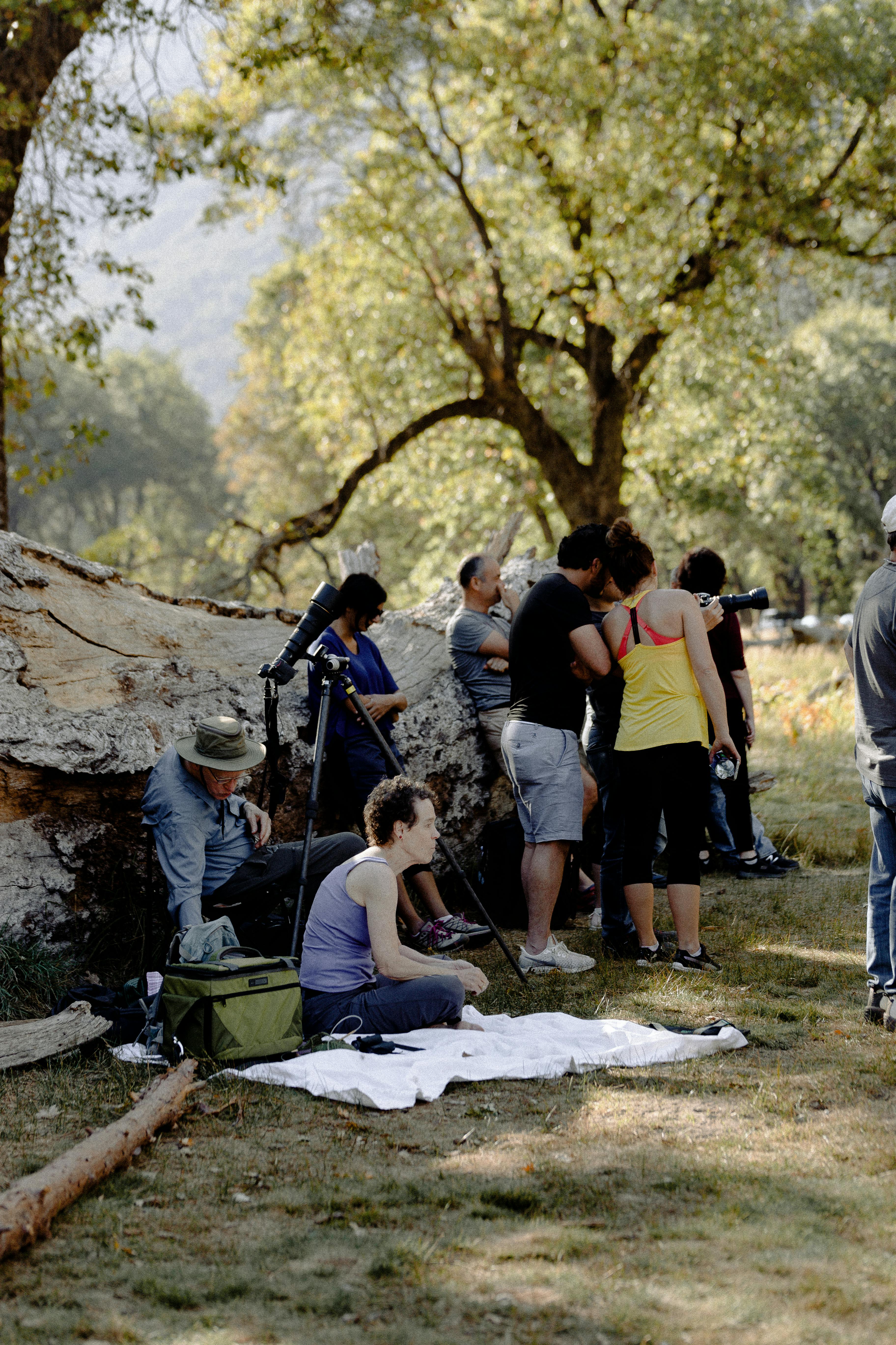 People Near Tree · Free Stock Photo