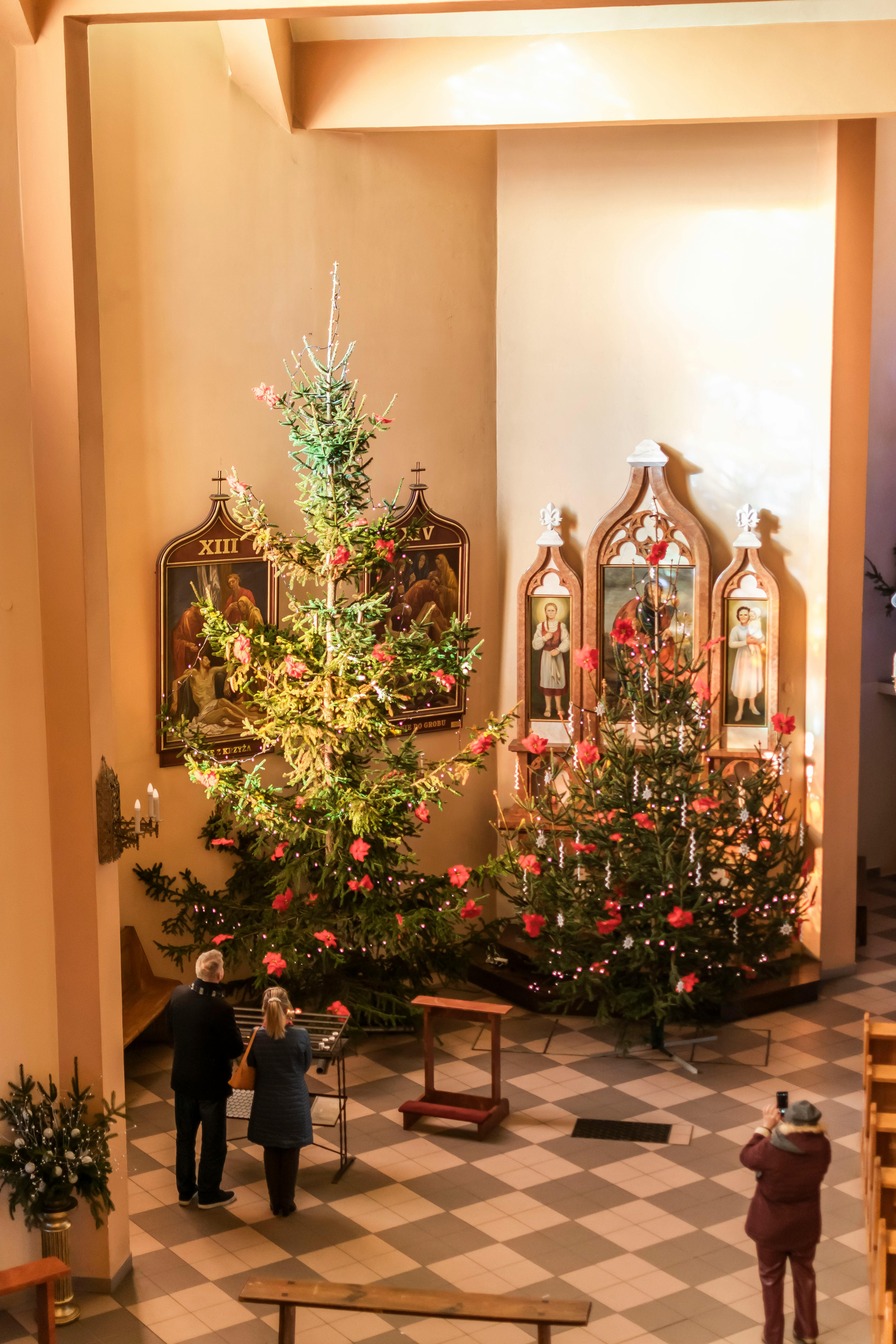 Beautiful Christmas Decor Inside Historic Wrocław Church · Free Stock Photo
