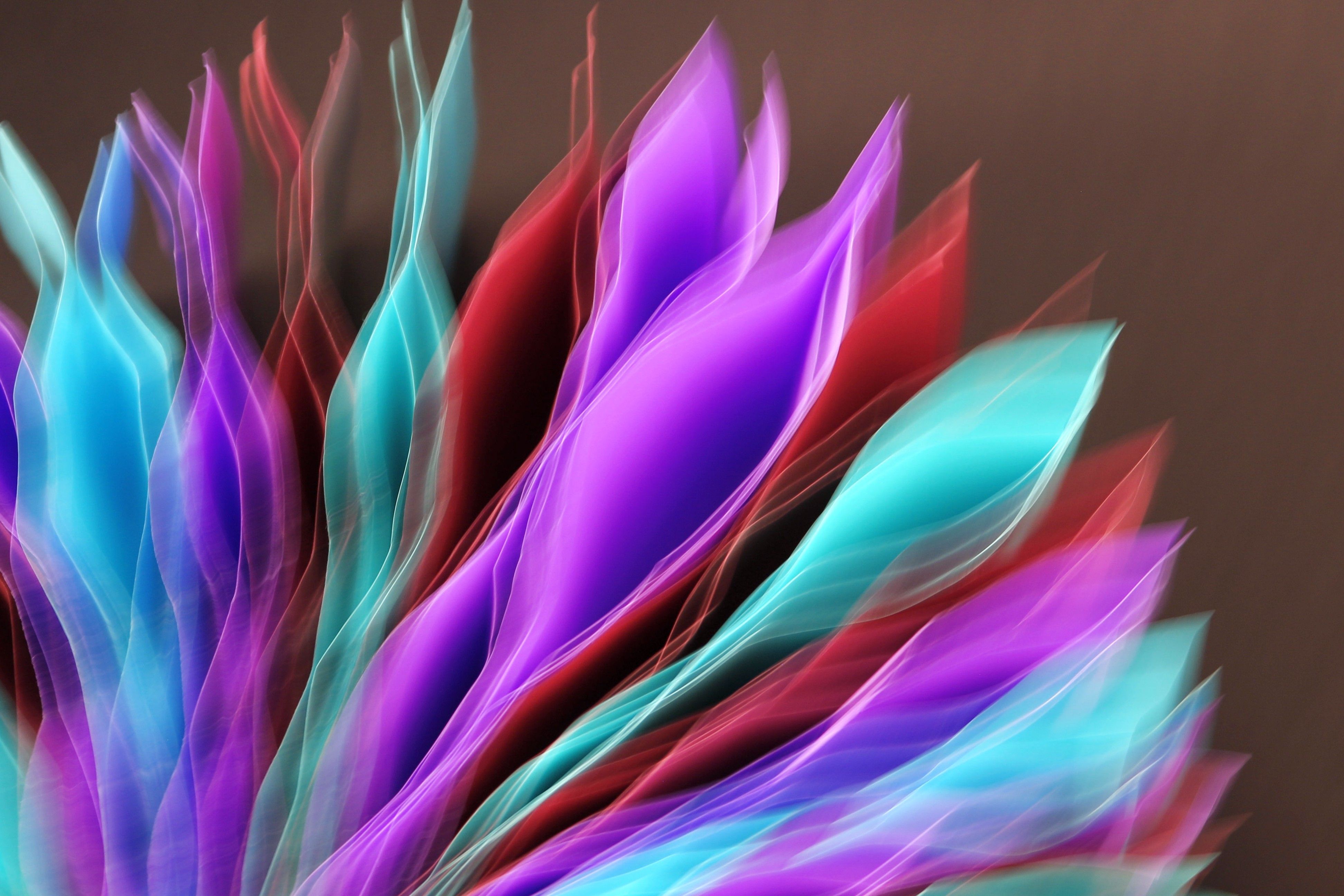 Colorful Abstract Light Trails in Motion · Free Stock Photo