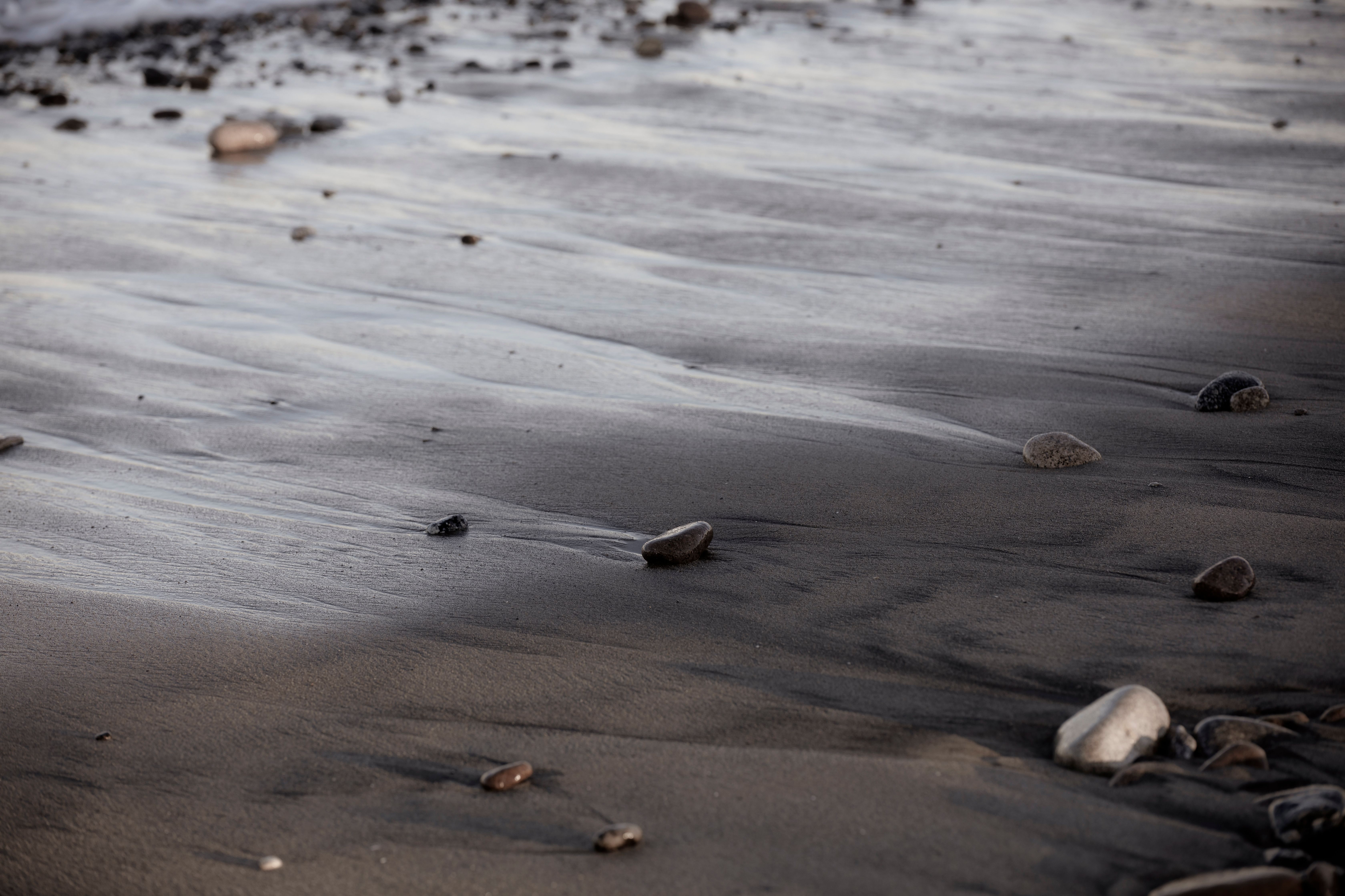 Calm Beach Shoreline with Pebbles · Free Stock Photo