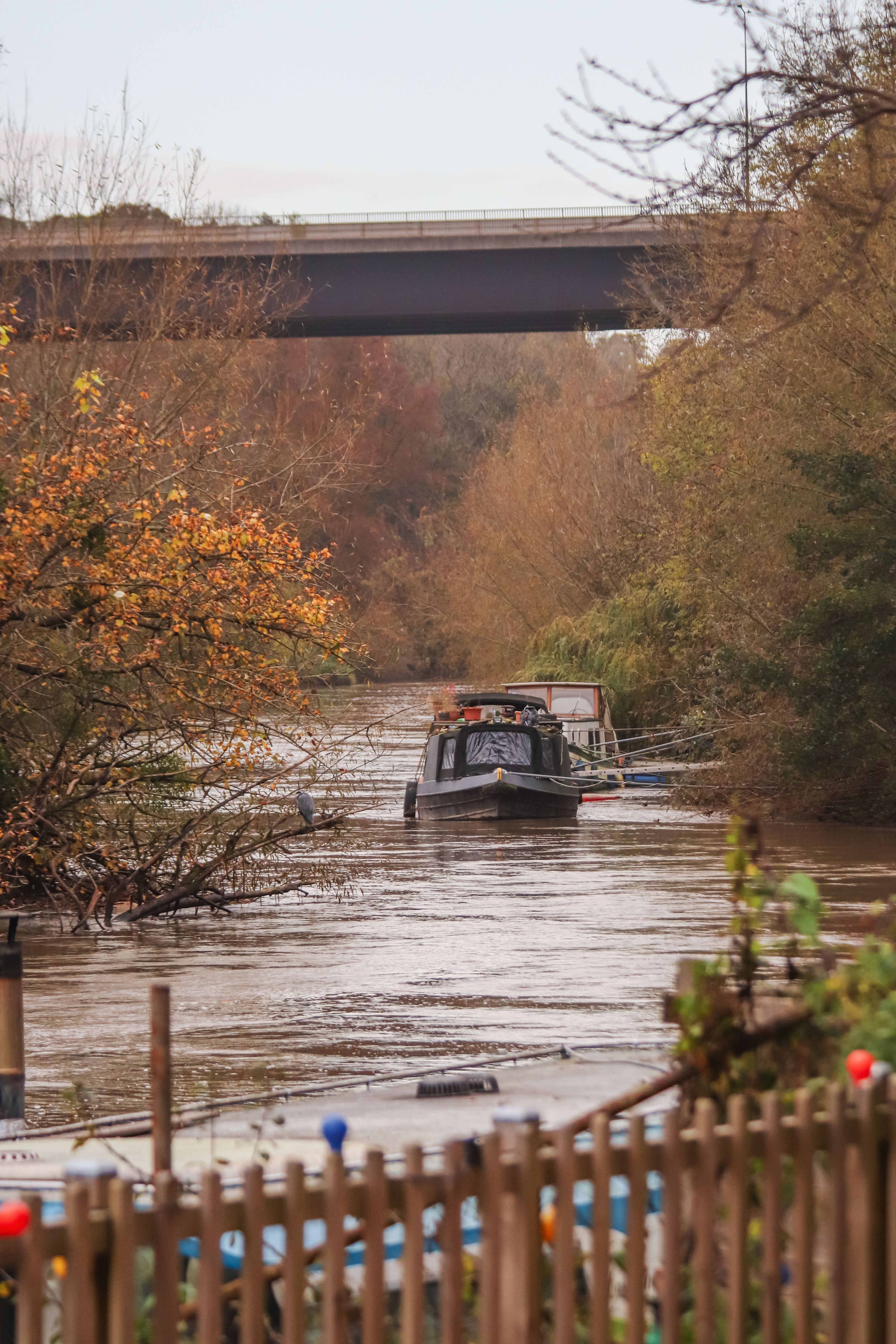 Calm Autumn River Scene with Boat and Bridge · Free Stock Photo