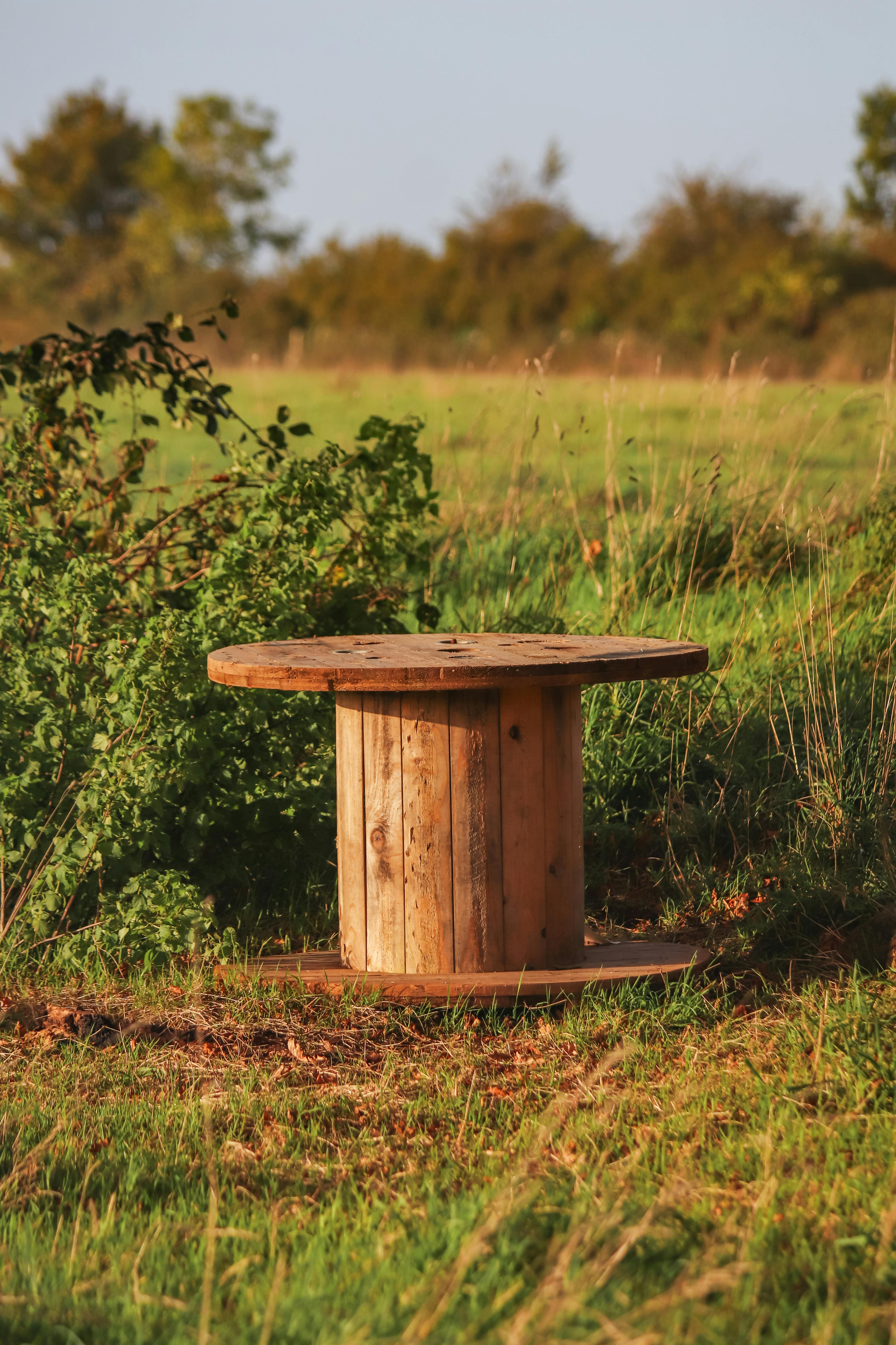 Wooden Spool in Lush Green Field Setting · Free Stock Photo