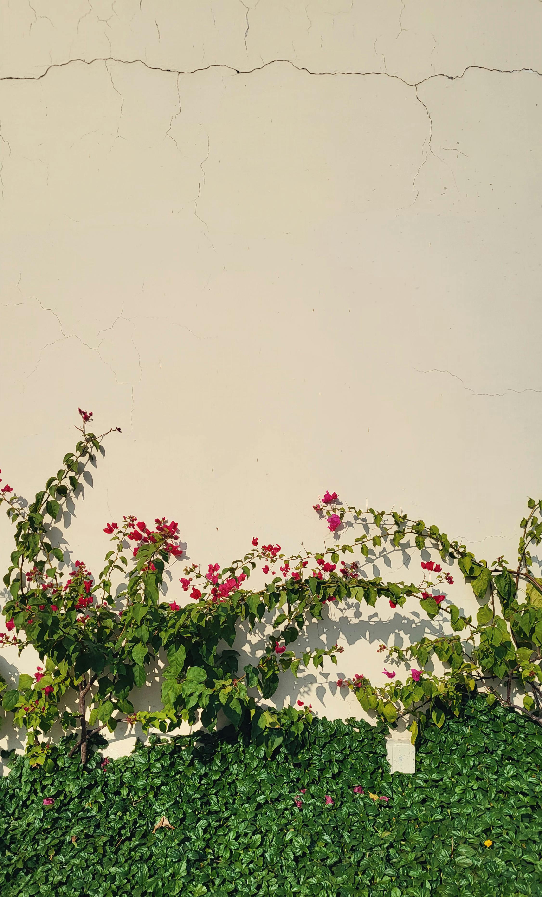 Pink Minecraft Wallpaper Photos, Download The BEST Free Pink Minecraft ...