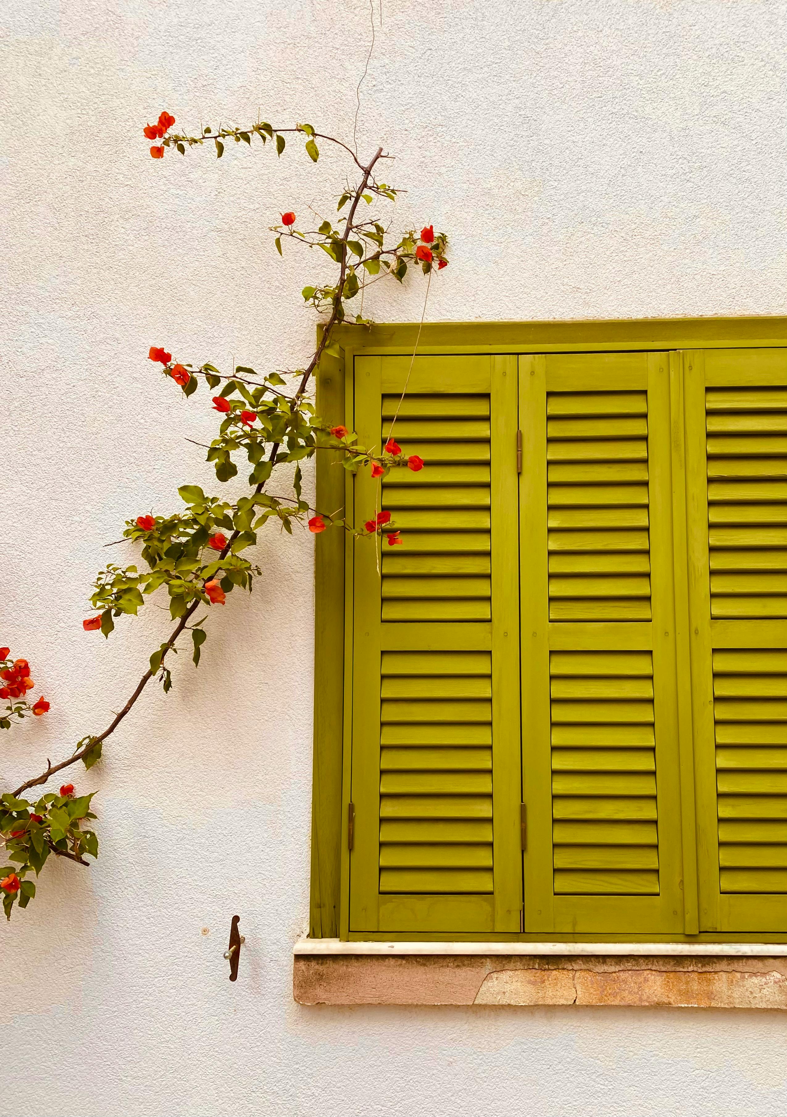 Spring Home Exterior Photos, Download The BEST Free Spring Home ...