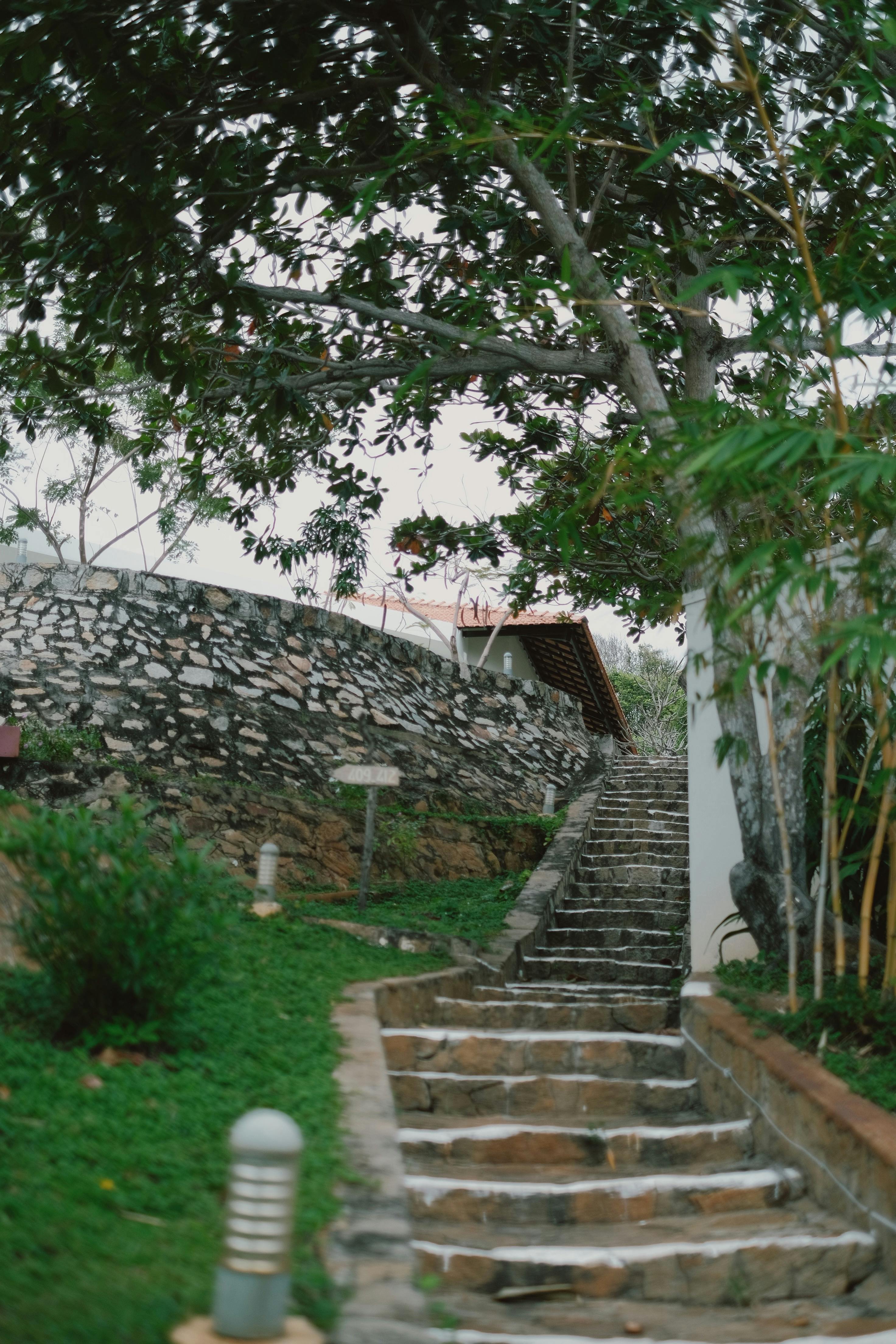 {"File Name":"20250312 2040 6992 Nature.Jpg","Exte Photos, Download The ...