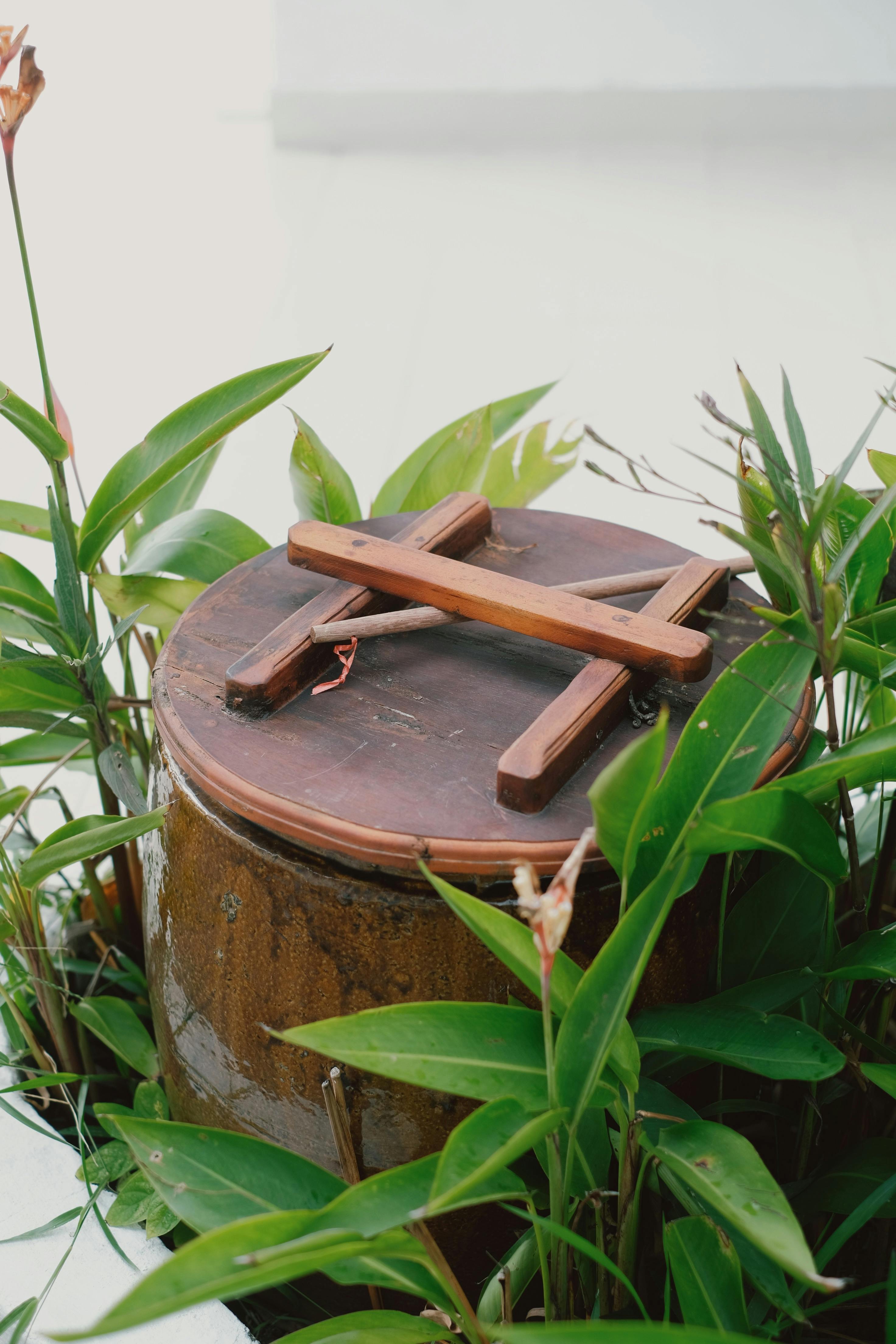 Wooden Barrel with Lid Surrounded by Green Plants · Free Stock Photo