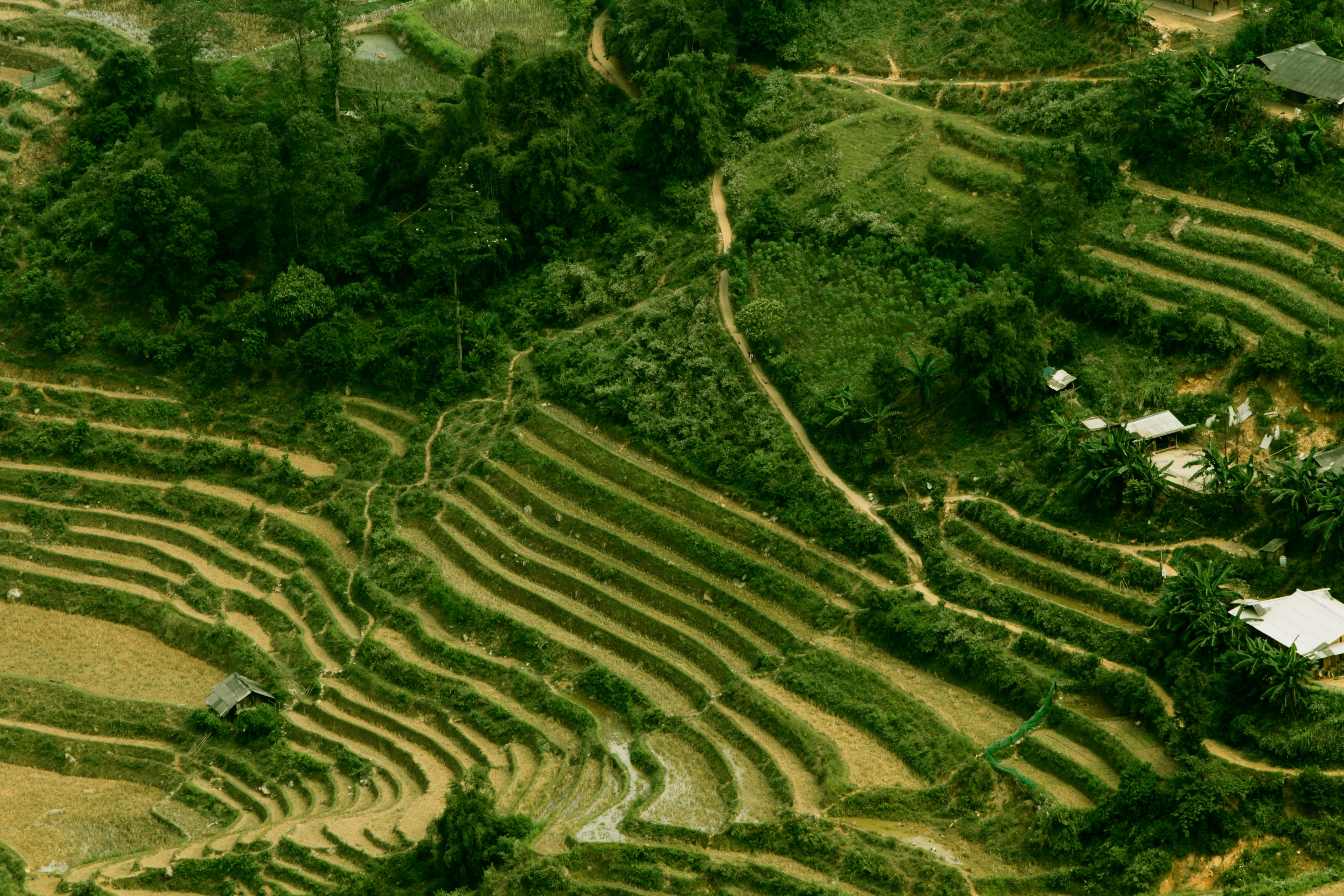 Muziek Contours Photos, Download The BEST Free Muziek Contours Stock ...