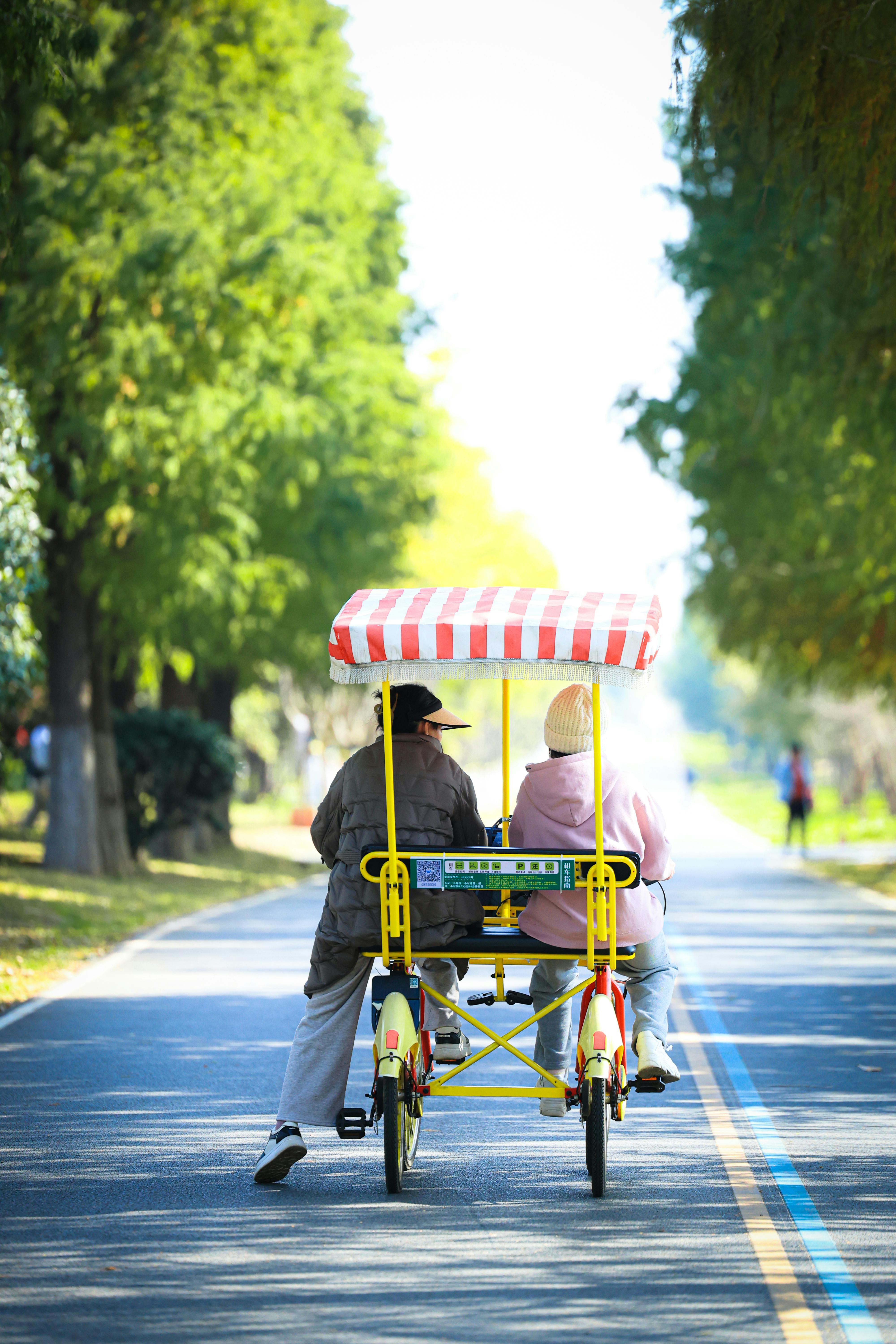 Friends In A Park Photos, Download The BEST Free Friends In A Park ...