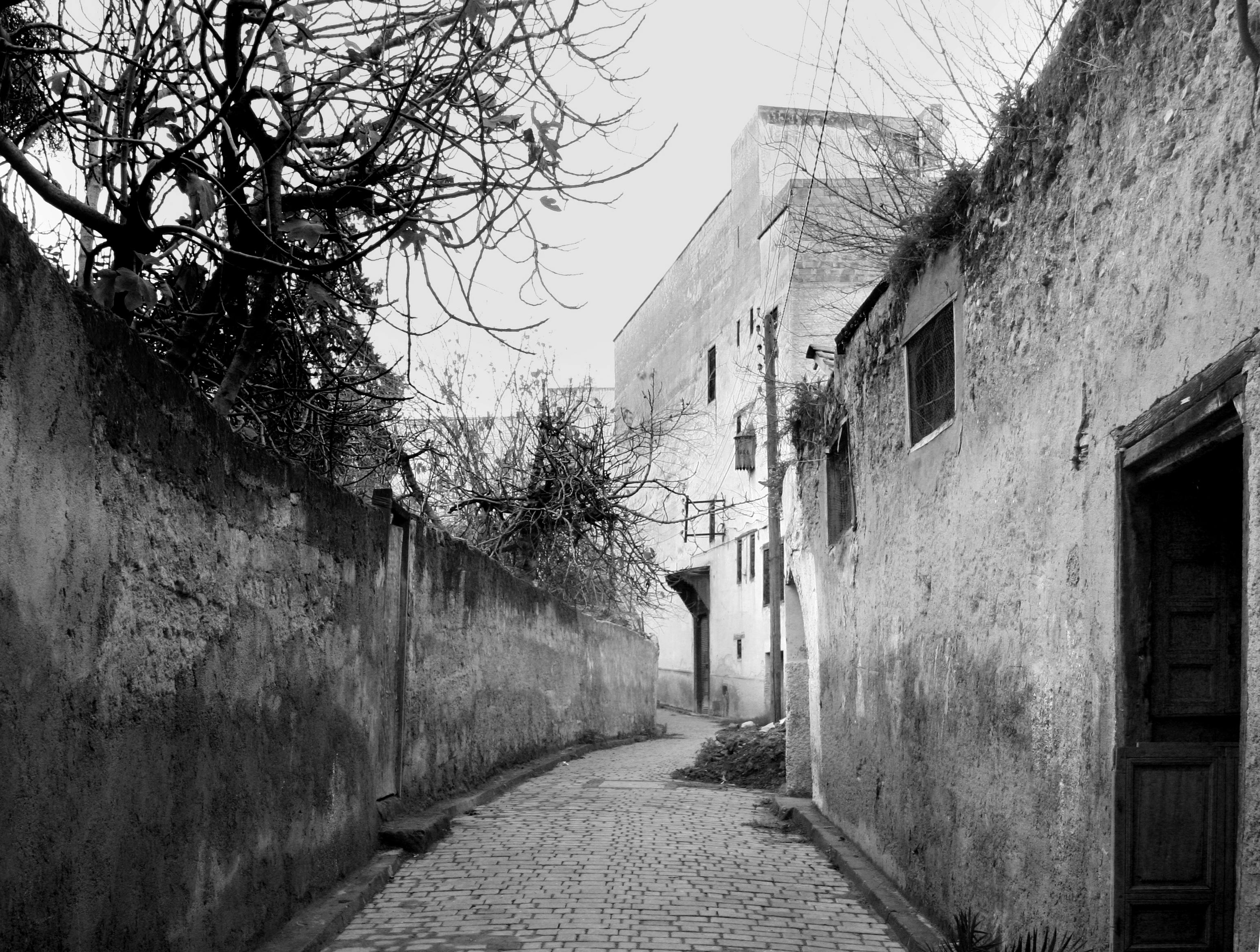 Charming Alleyway in Fès, Morocco · Free Stock Photo