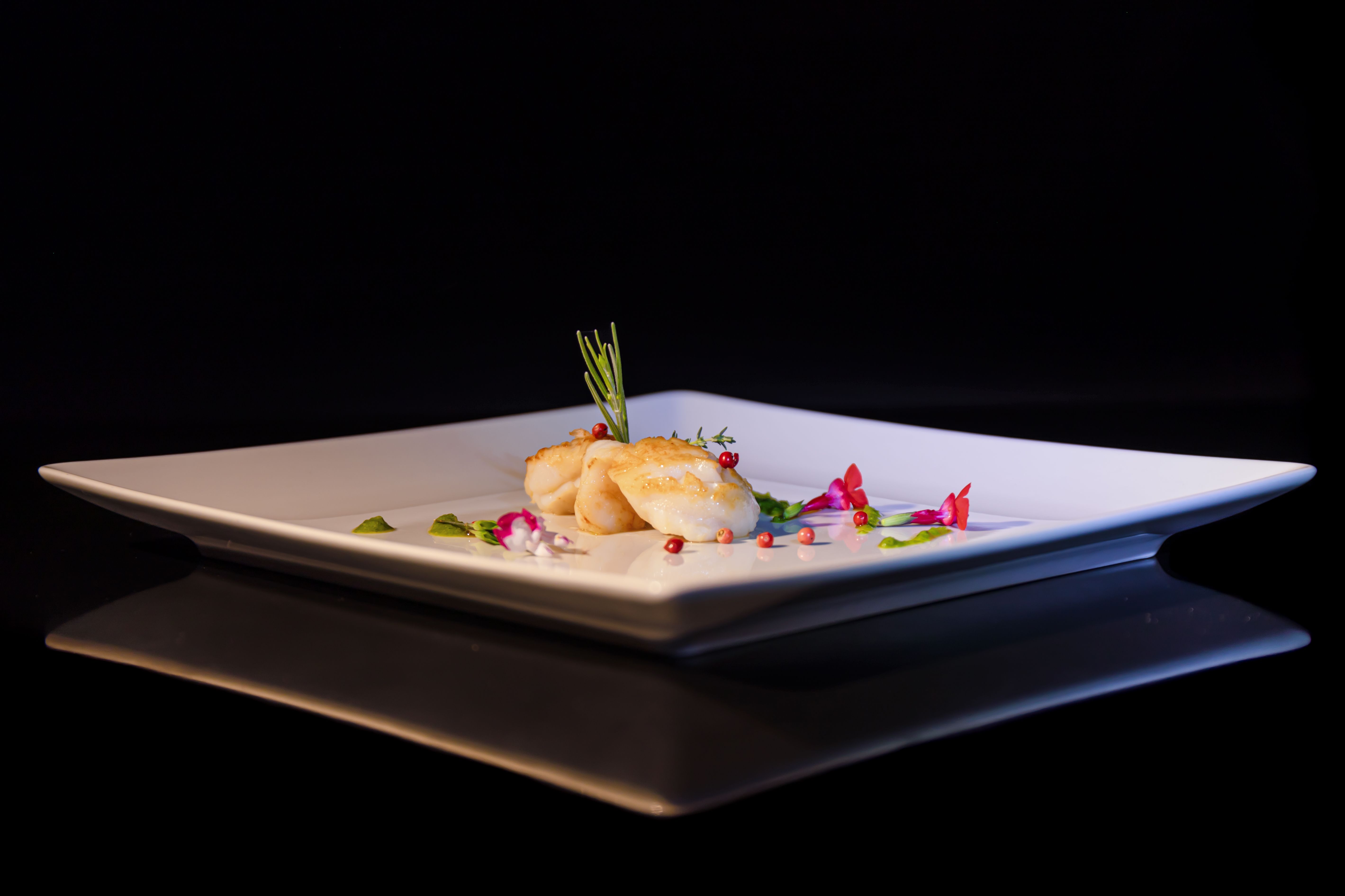 Gourmet Scallops Dish on Elegant Plate · Free Stock Photo