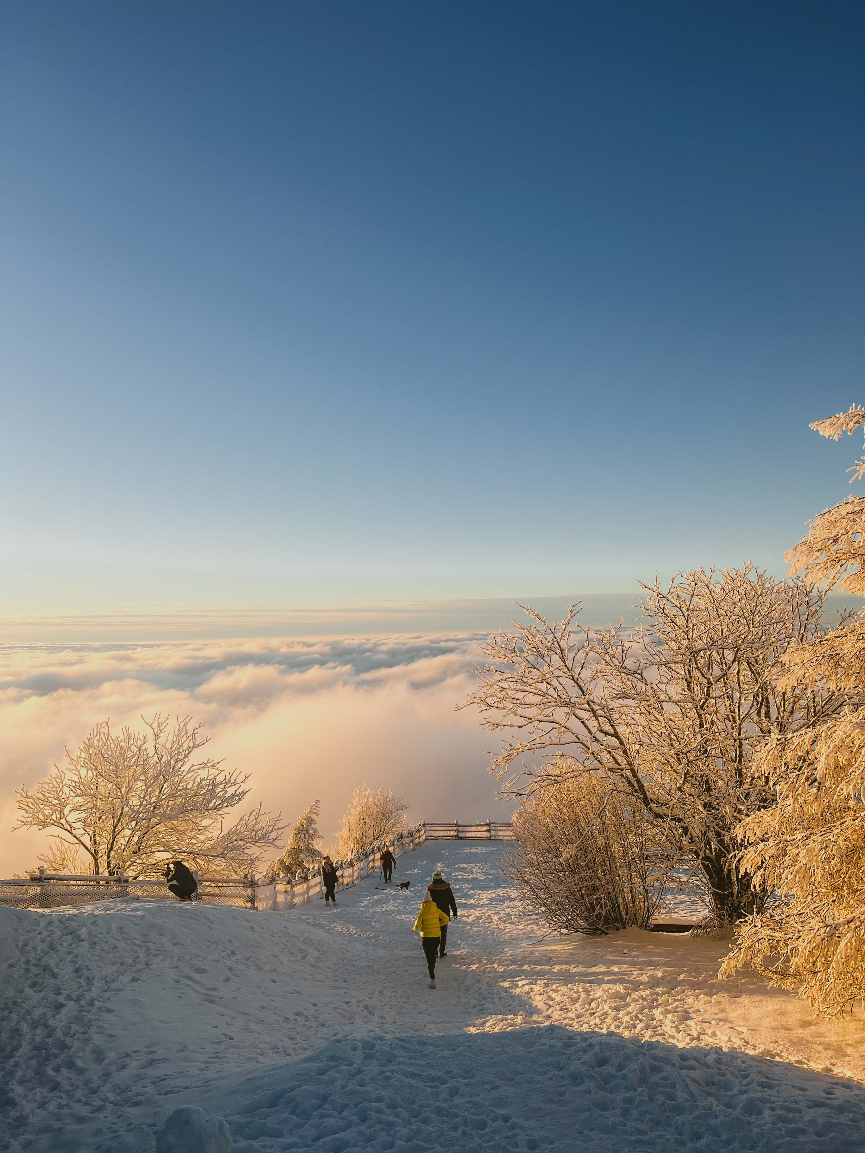 Winter Hike Through Snow-Covered Landscape · Free Stock Photo