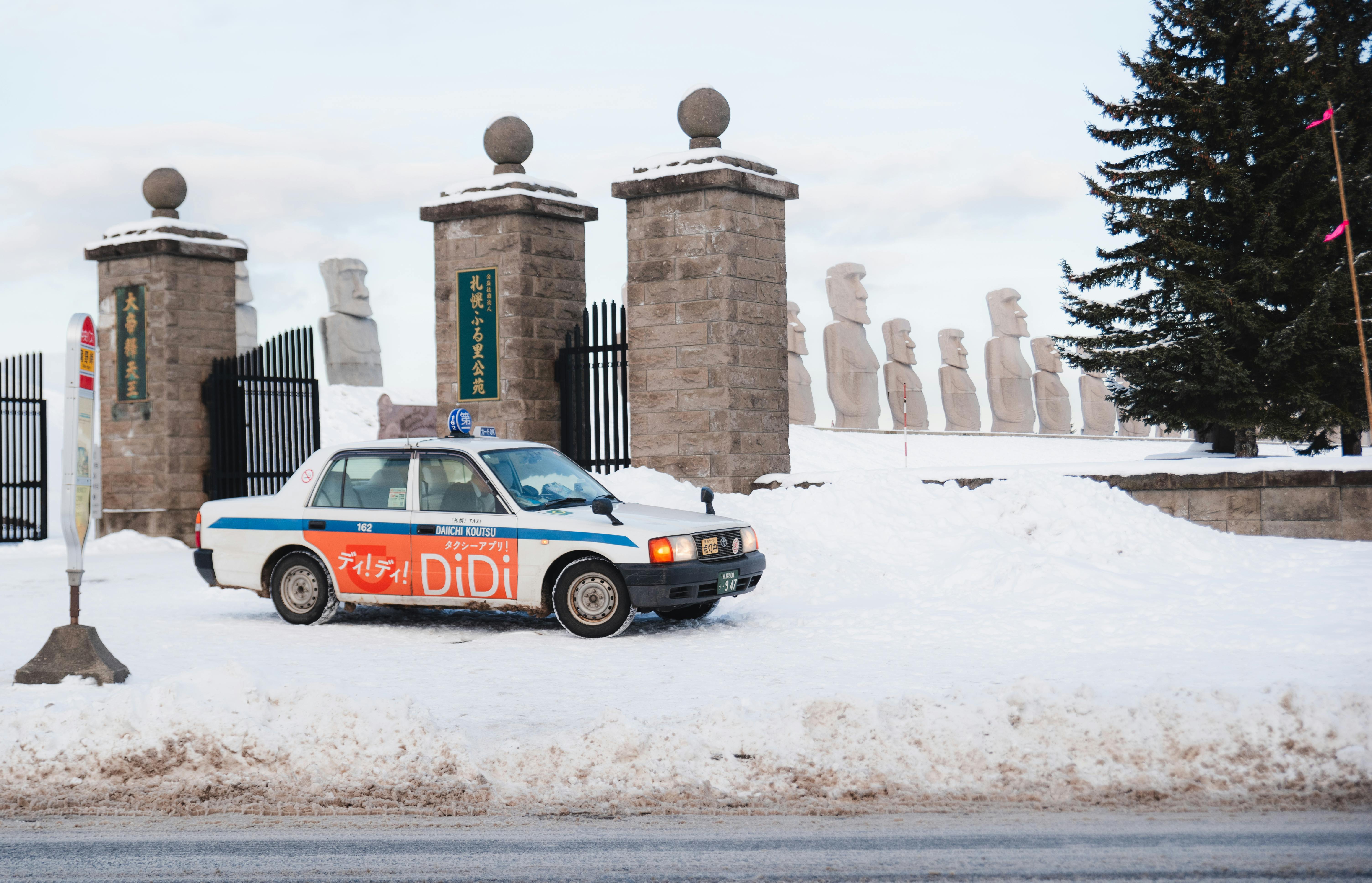 Didi Photos, Download The BEST Free Didi Stock Photos & HD Images