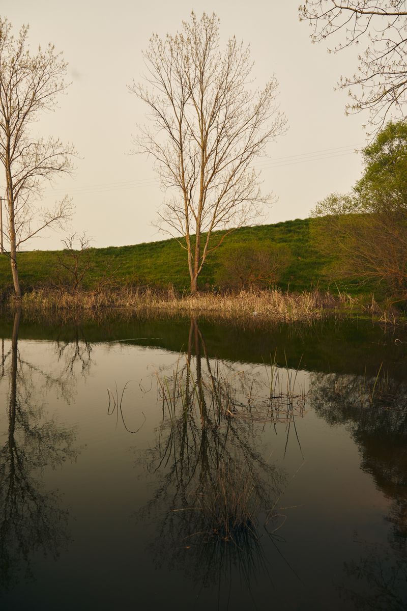 Lake Images Photos, Download The BEST Free Lake Images Stock Photos ...