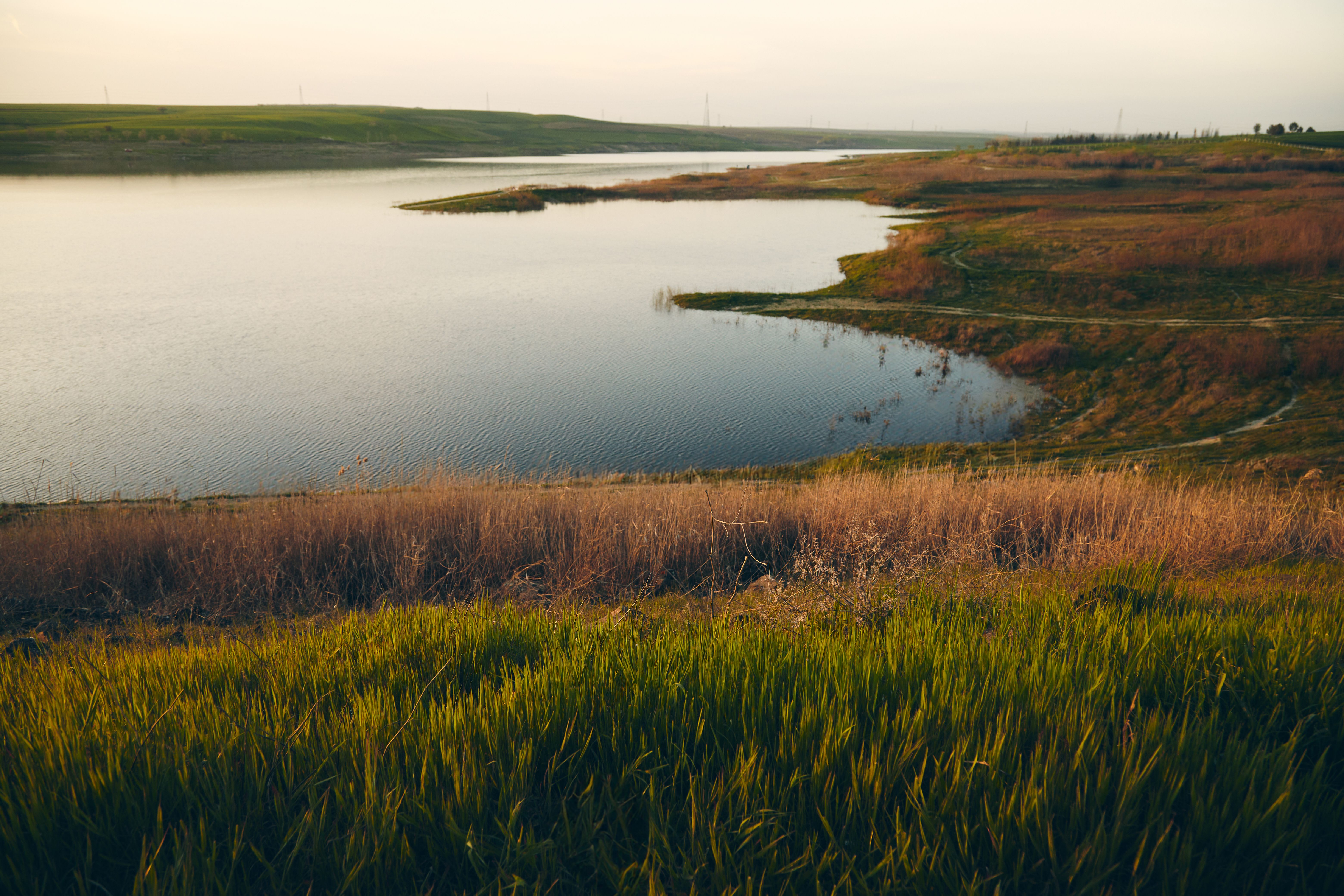 Serene Waterside Landscape at Sunset · Free Stock Photo