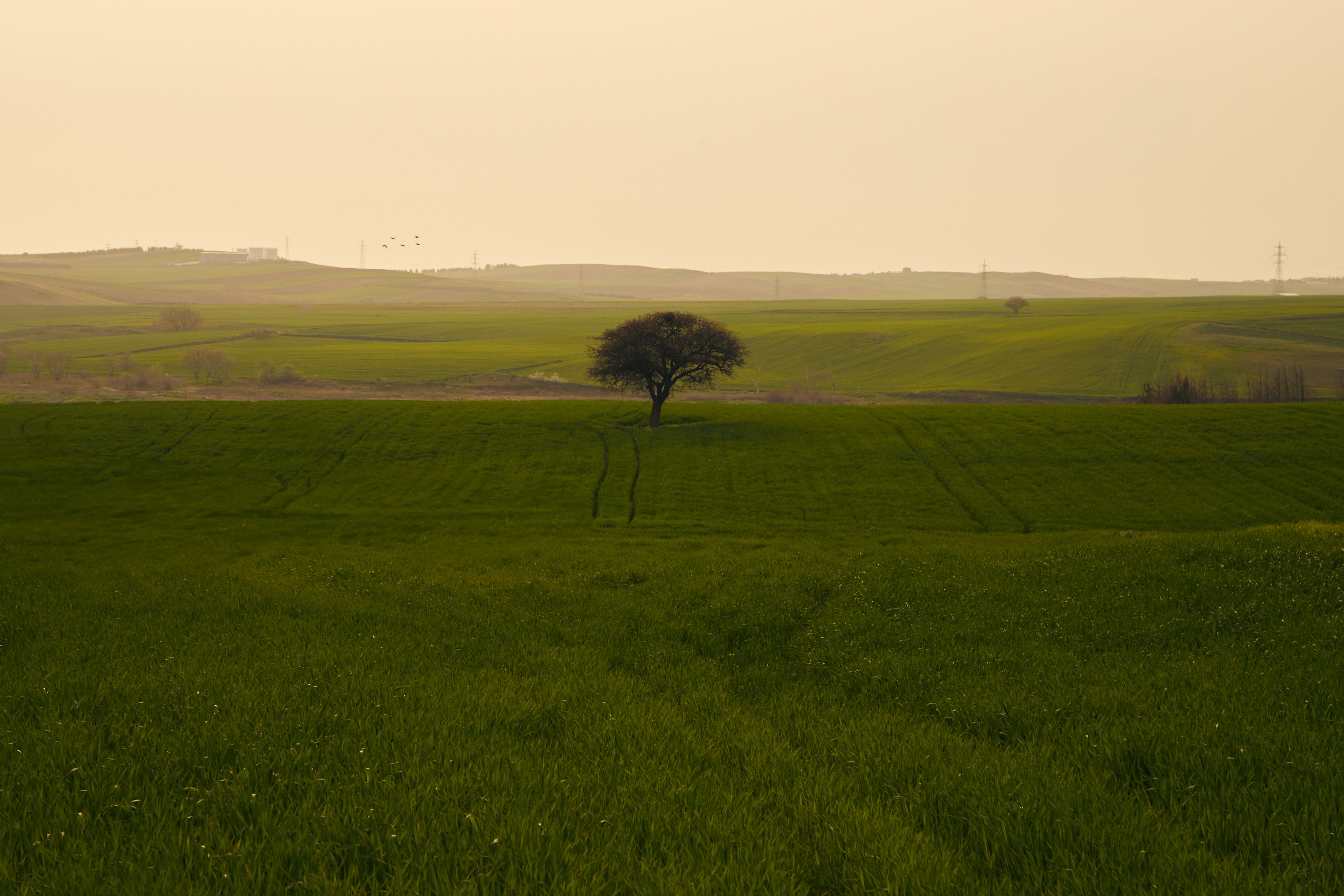 Plains Photos, Download The BEST Free Plains Stock Photos & HD Images