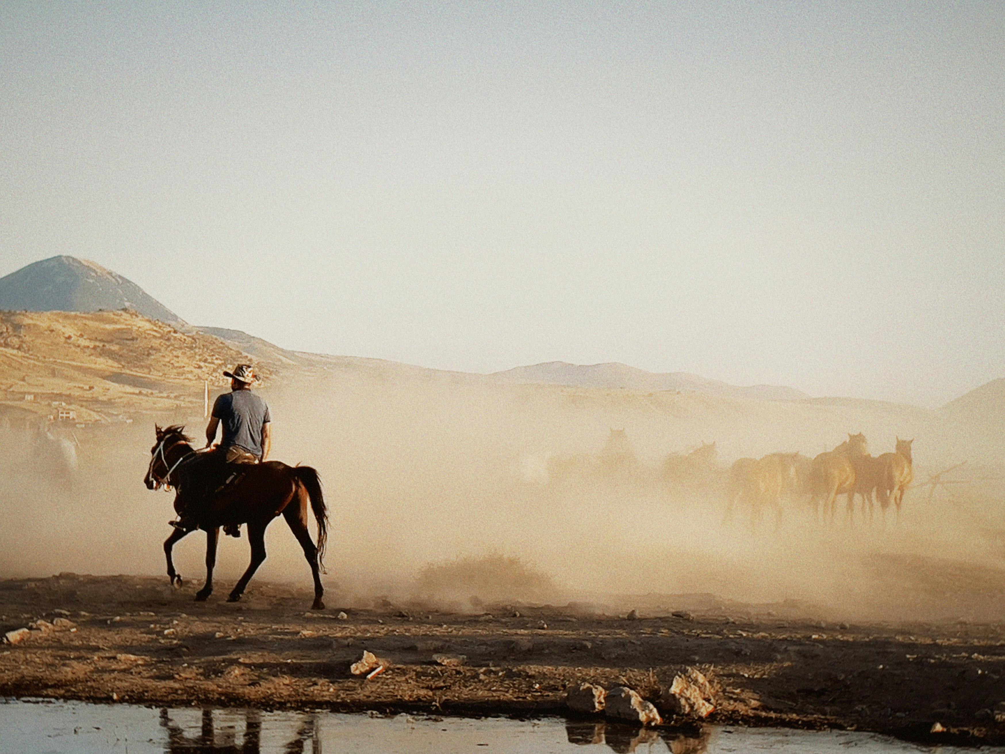 Cowboy Riding Horse in Dusty Desert Landscape · Free Stock Photo