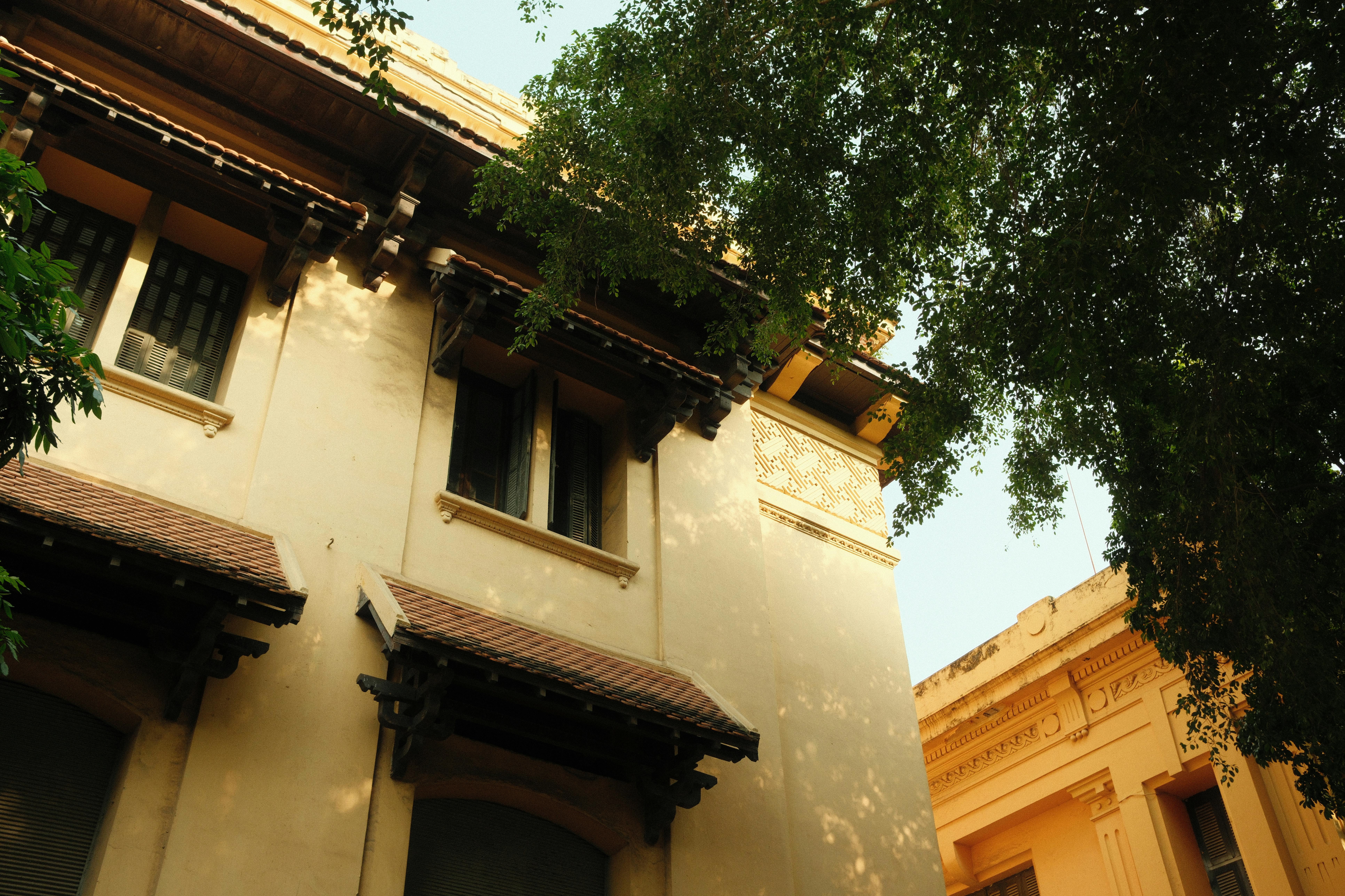 Vintage Tree Photos, Download The BEST Free Vintage Tree Stock Photos ...