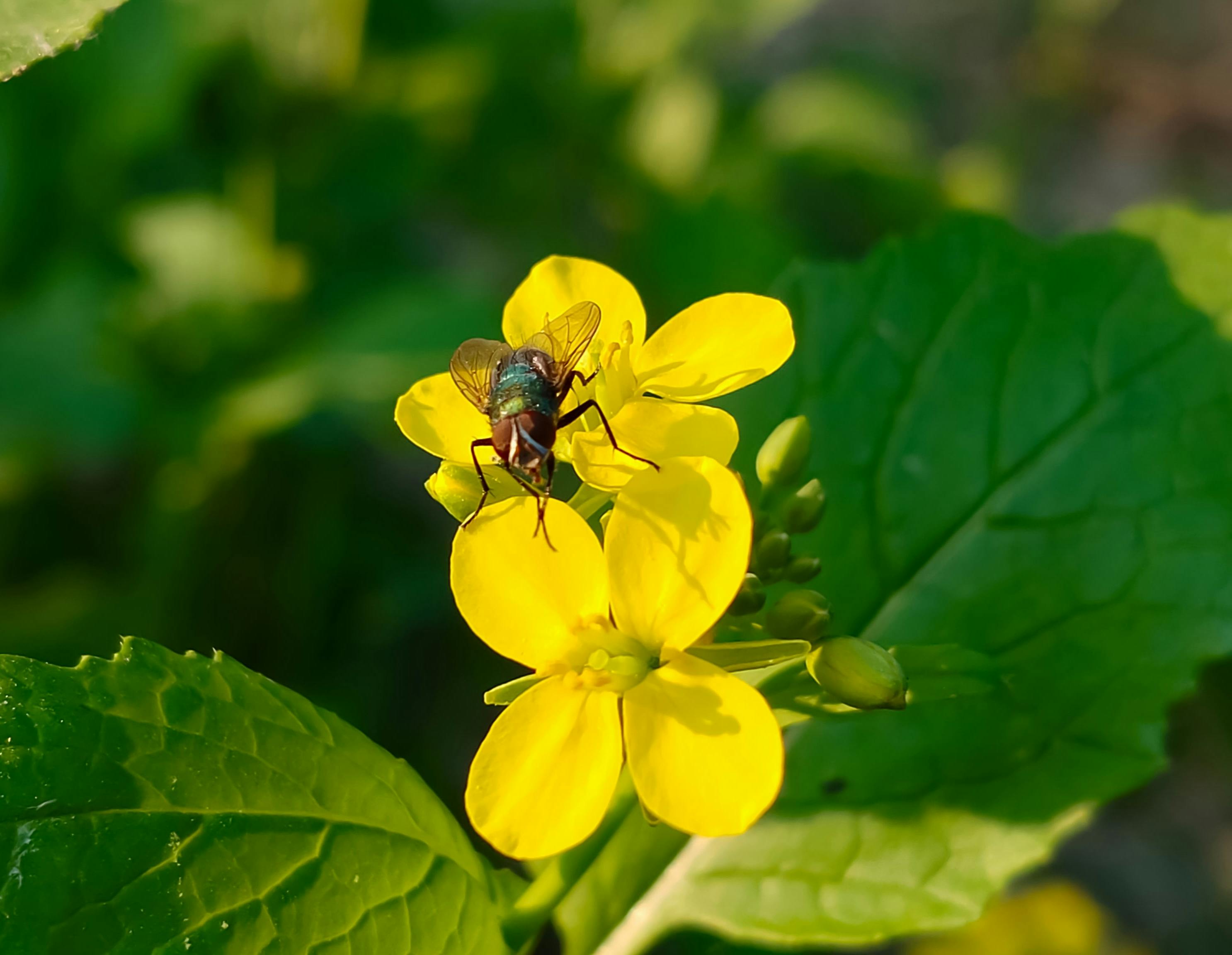 Small Scenes Photos, Download The BEST Free Small Scenes Stock Photos ...