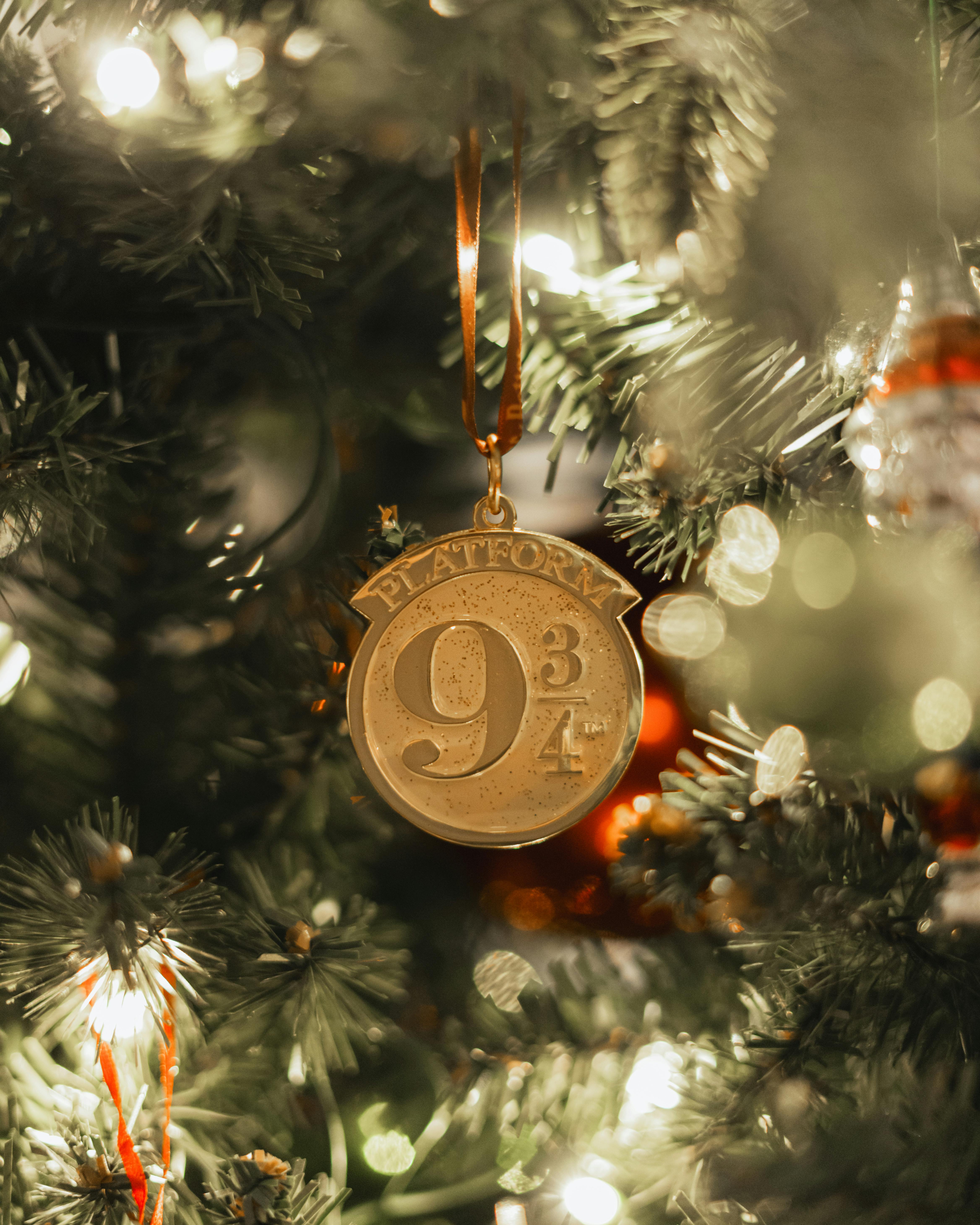 Harry Potter Photos, Download The BEST Free Harry Potter Stock Photos ...