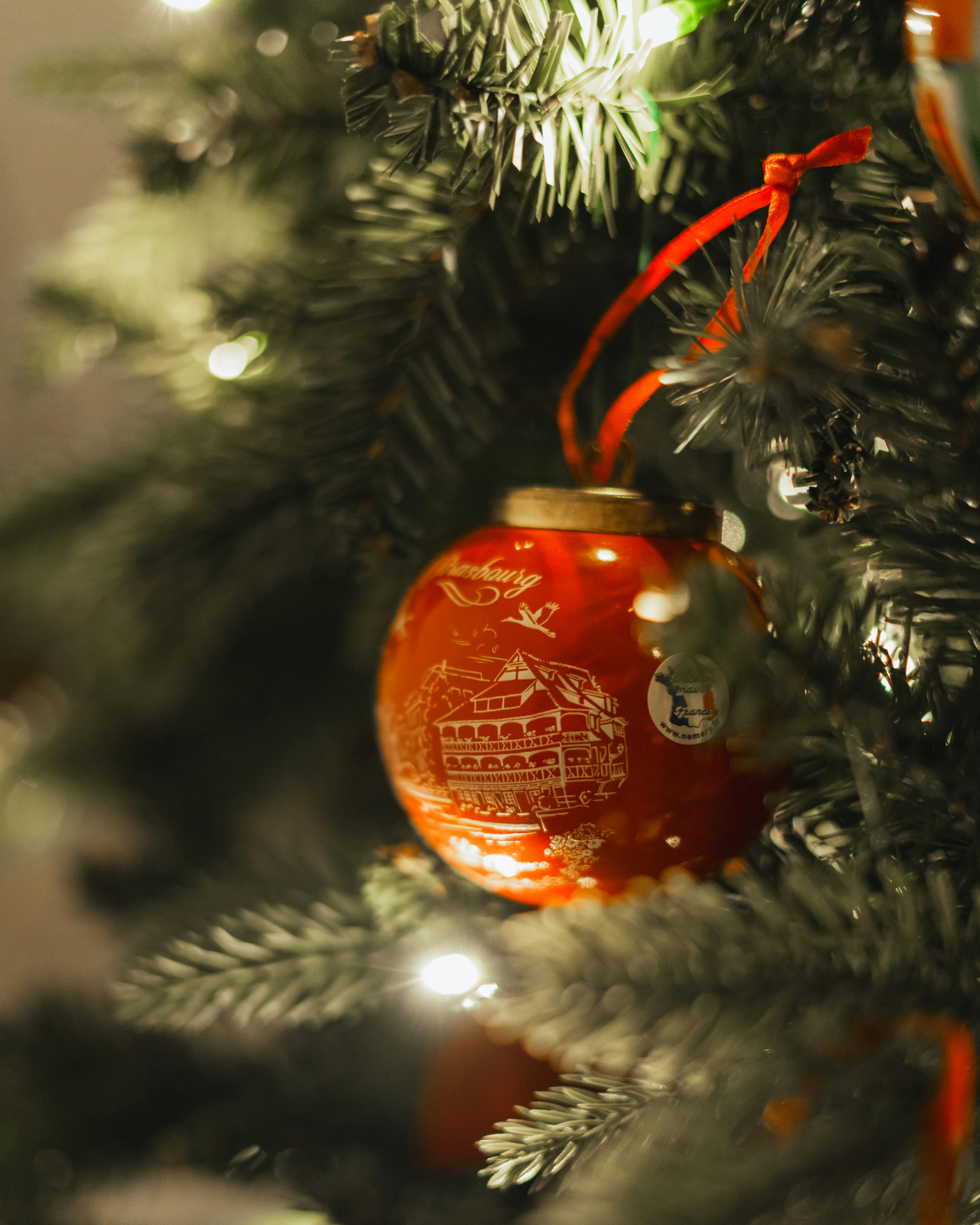 Hanging+Ewp+Images Photos, Download The BEST Free Hanging+Ewp+Images ...