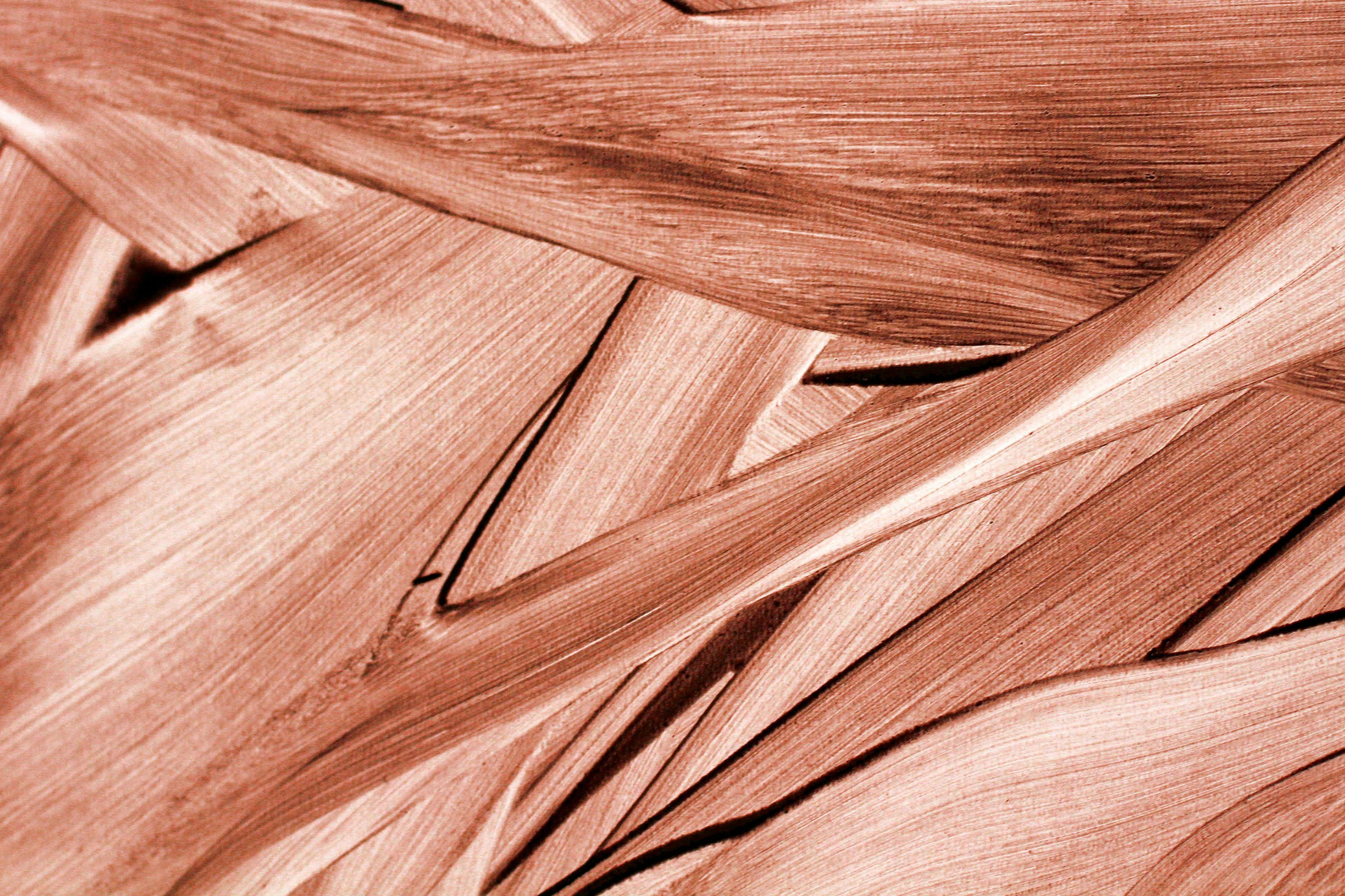 Abstract Textured Brown Pattern Close-up · Free Stock Photo