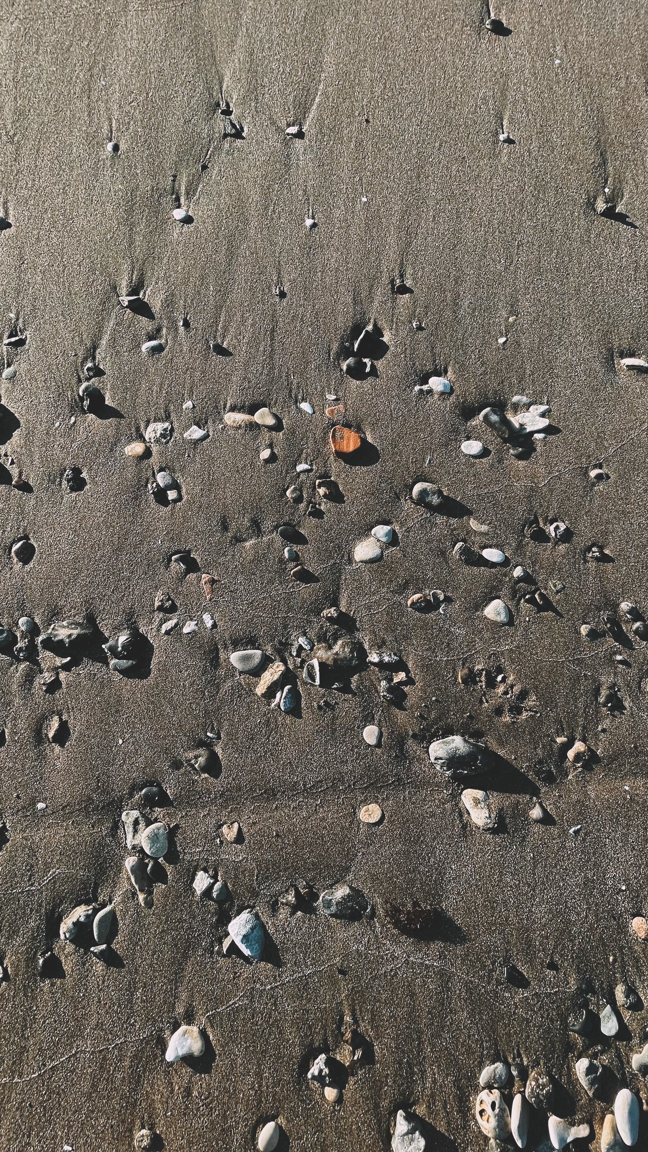 Pebbles on Sandy Beach Close-Up · Free Stock Photo