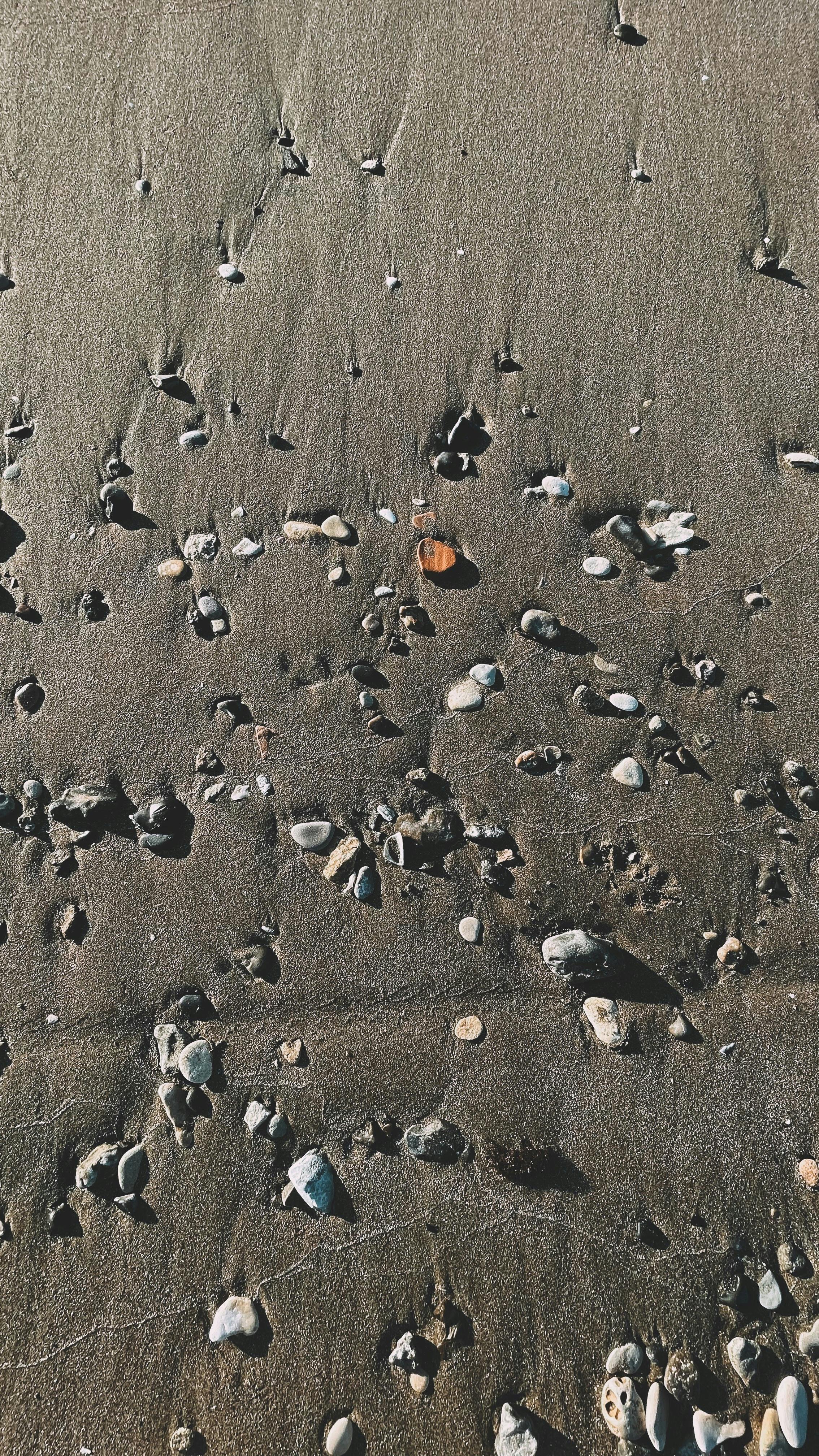 Pixel3 Random Photos, Download The BEST Free Pixel3 Random Stock Photos ...