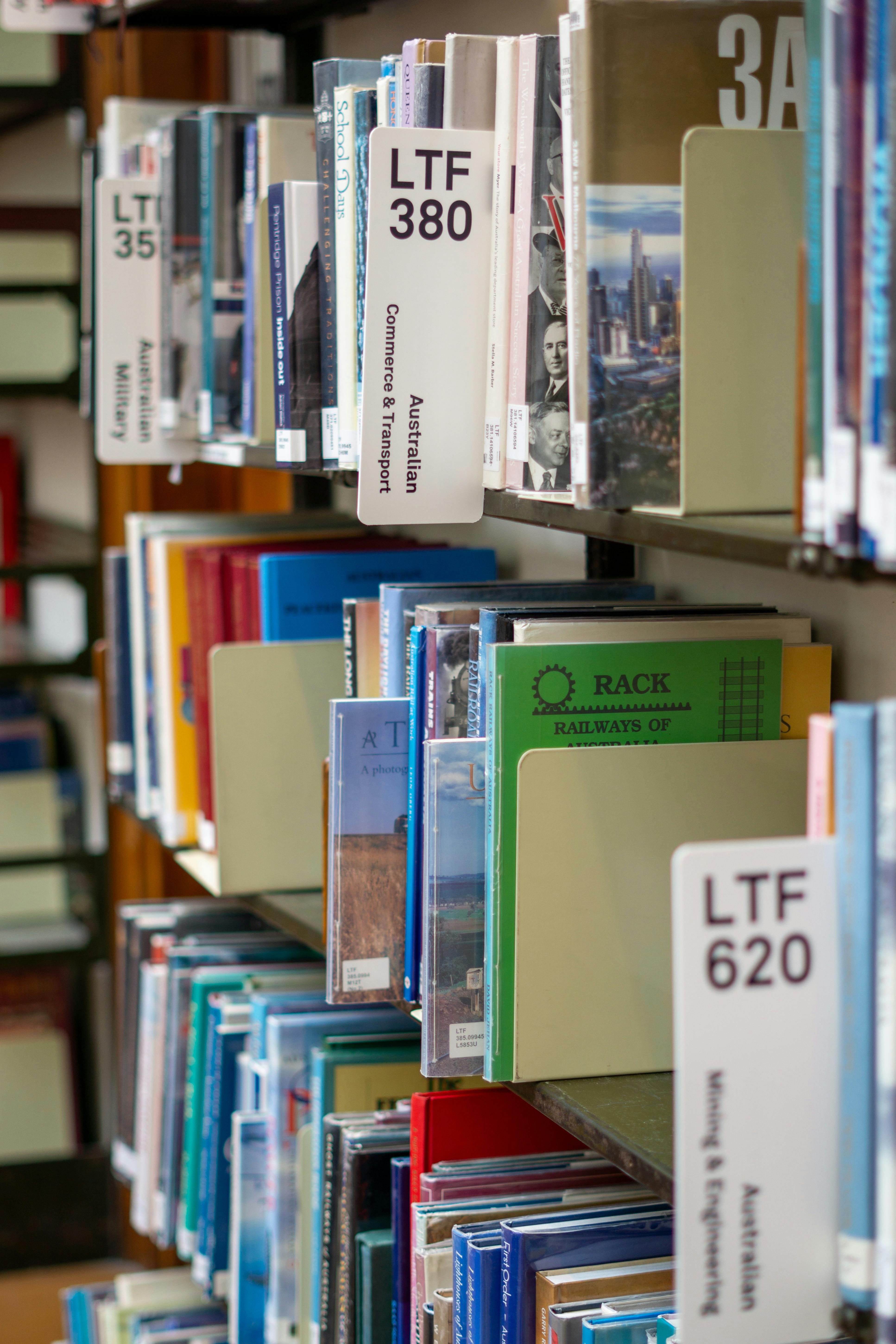 Reference Photos, Download The BEST Free Reference Stock Photos & HD Images