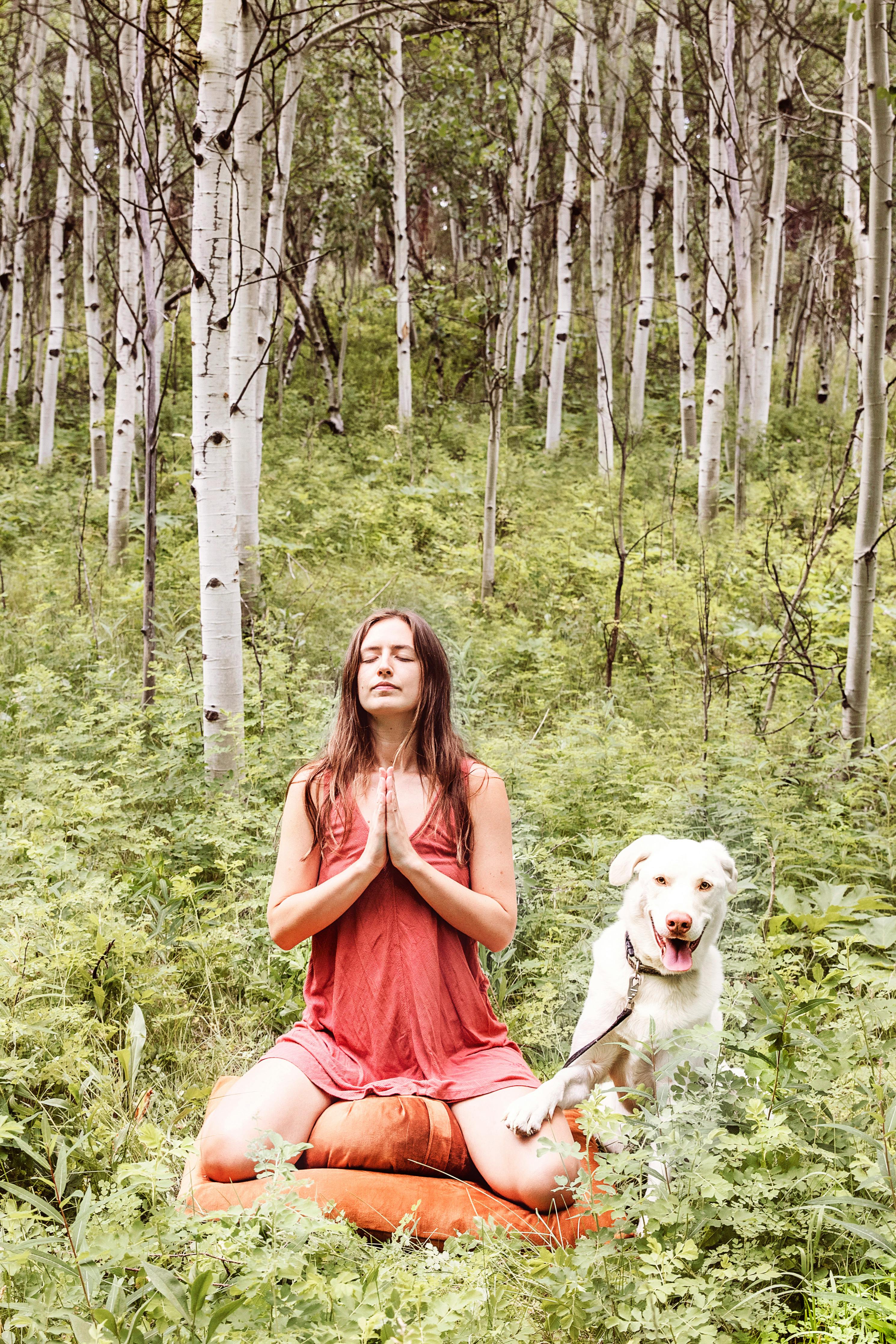 Yoga Meditation in Aspen Forest with Dog · Free Stock Photo