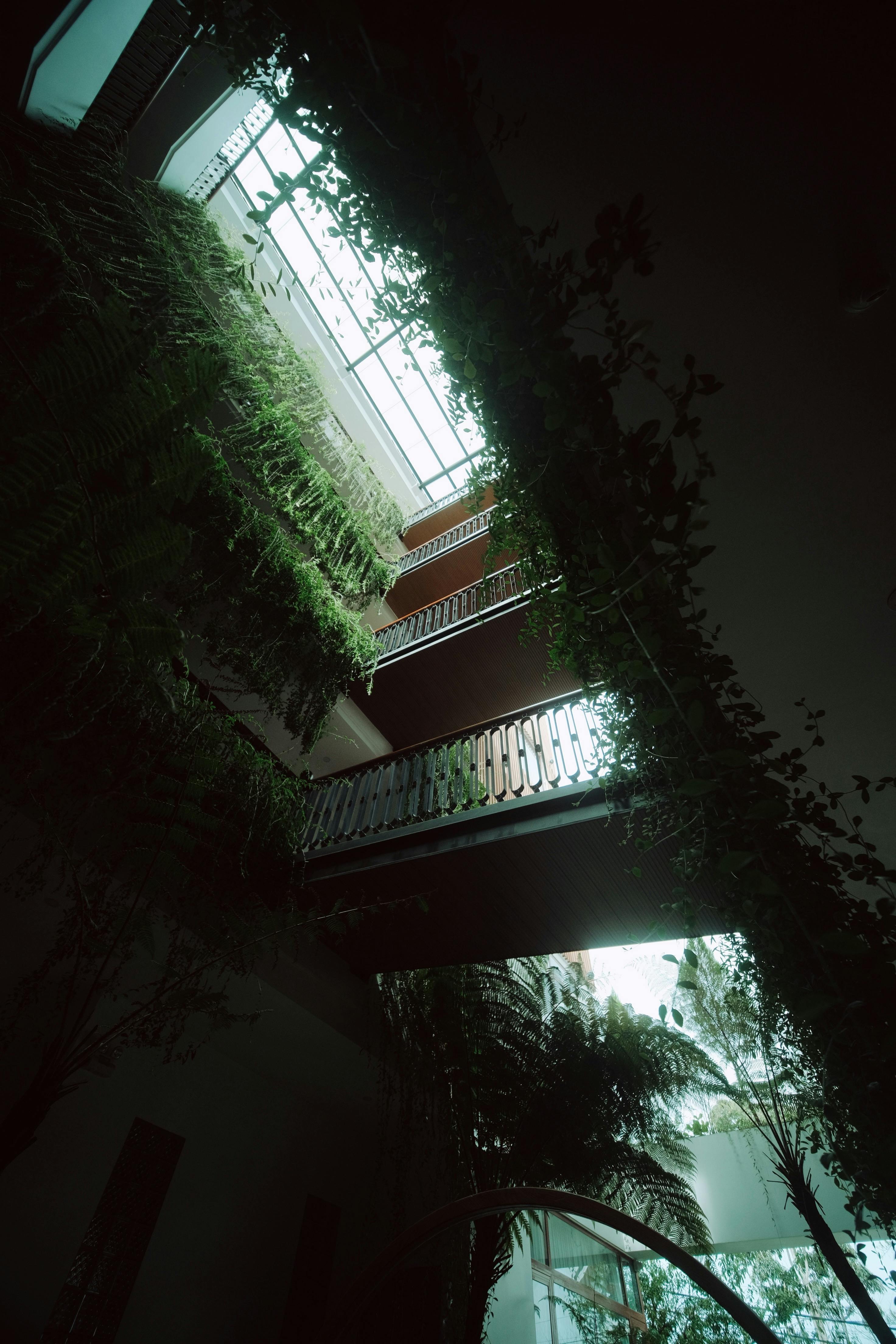 Atrium Garden Photos, Download The BEST Free Atrium Garden Stock Photos ...