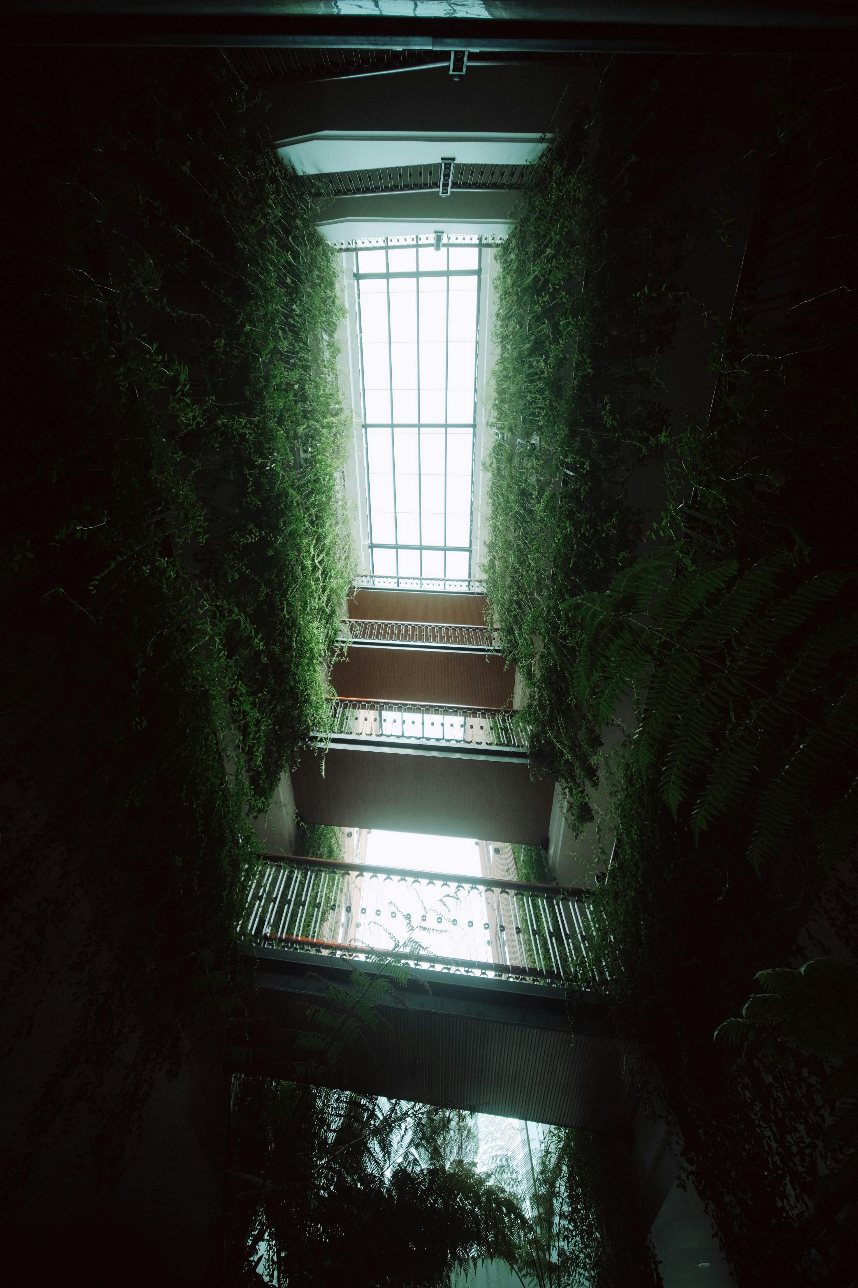 Vertical Indoor Atrium with Lush Greenery · Free Stock Photo