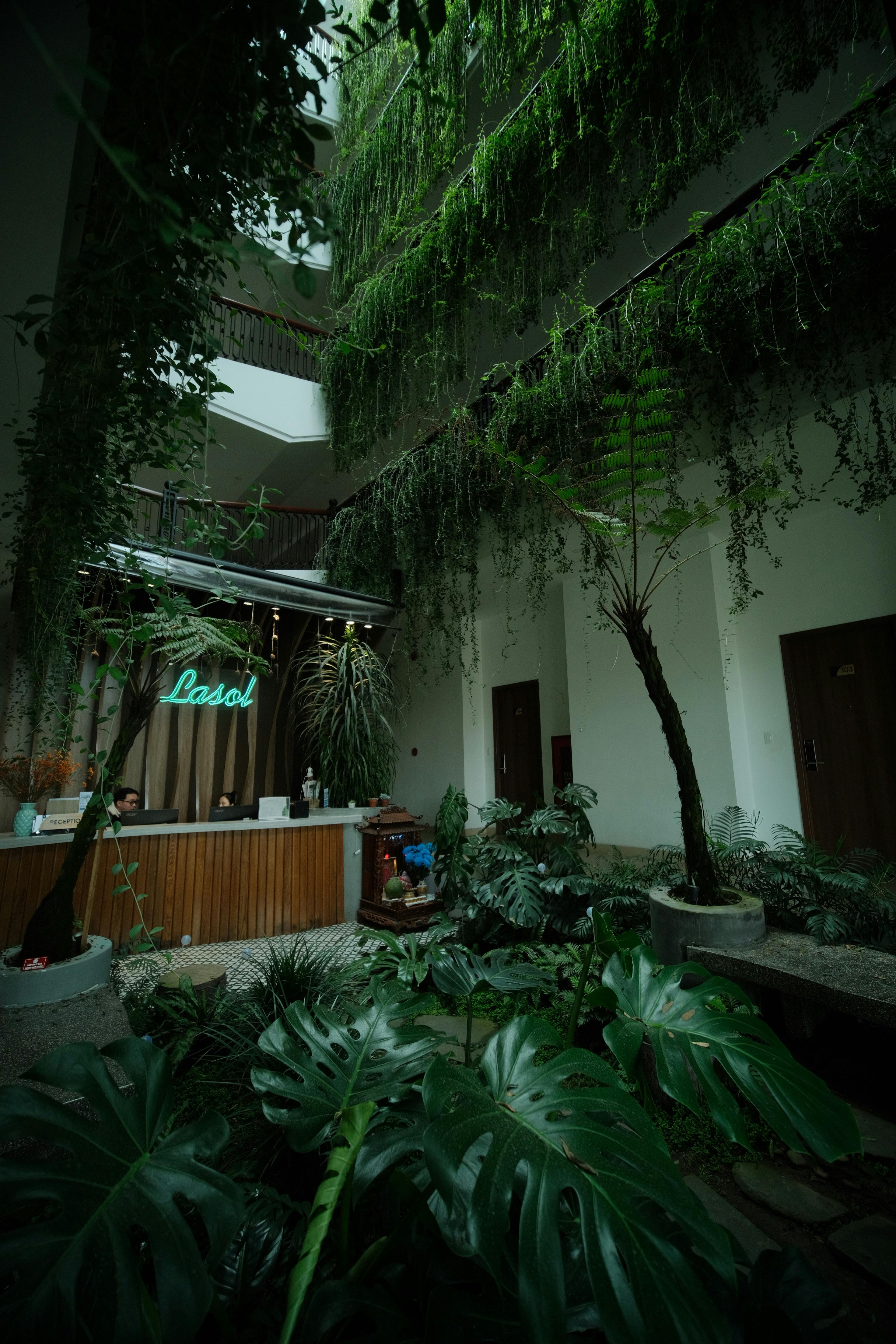 Lush Indoor Atrium Garden with Reception Desk · Free Stock Photo